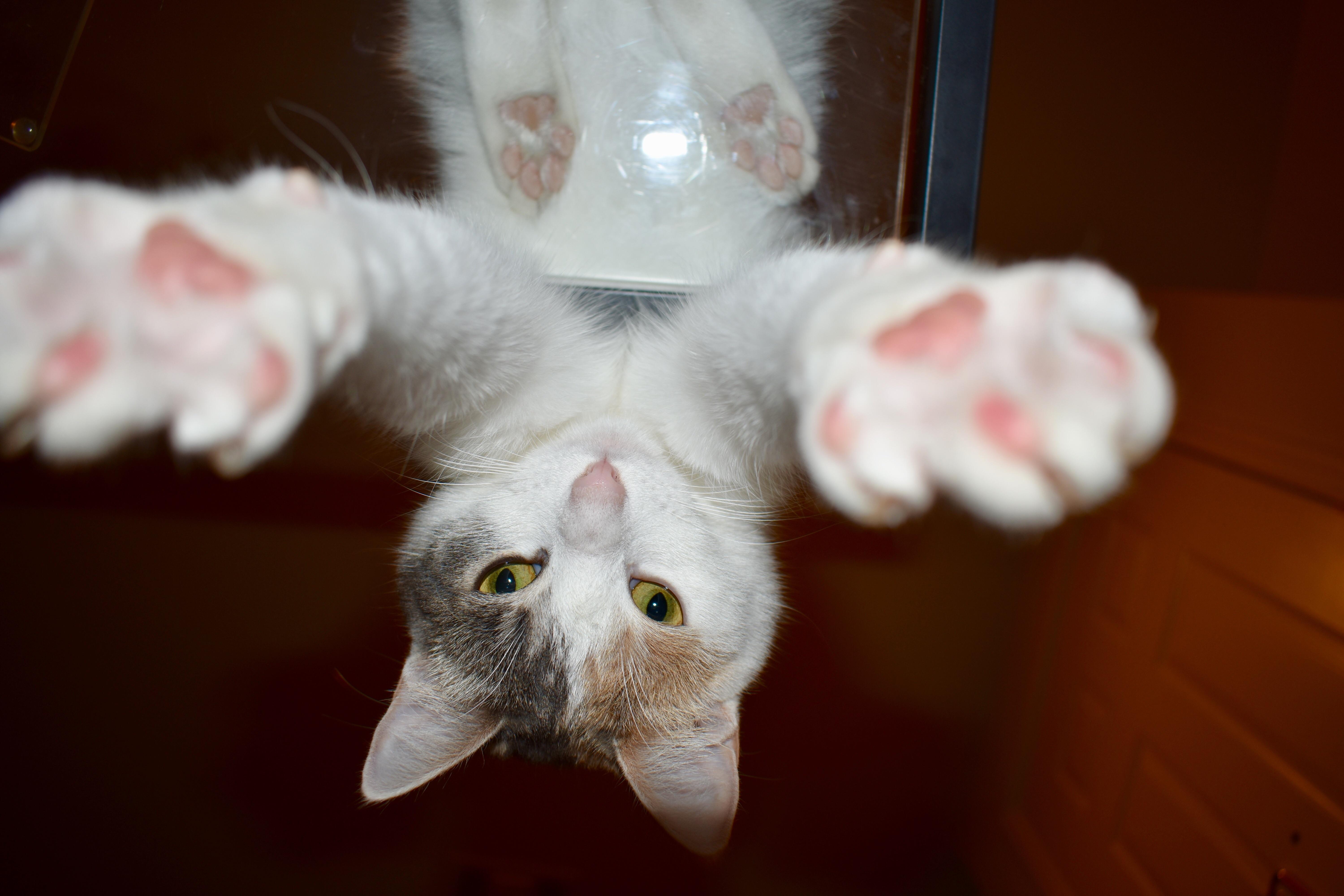 Penelope’s little pink toebeans! | Scrolller