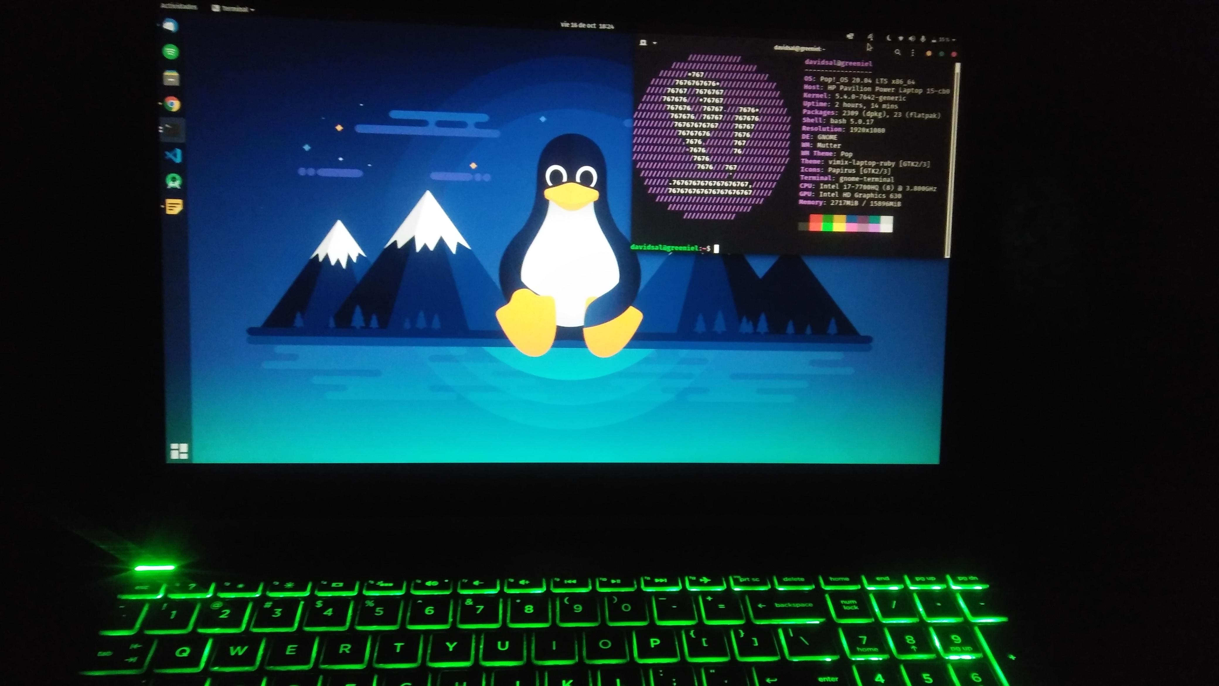 Penguin Vibes | Scrolller