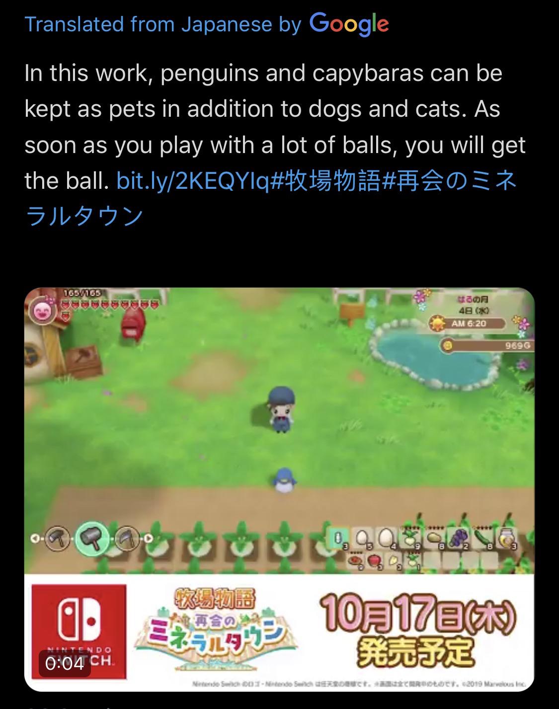 Penguins! | Scrolller