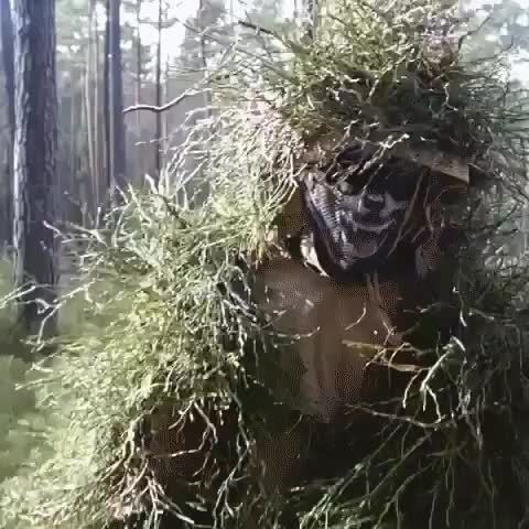 Perfect camouflage | Scrolller