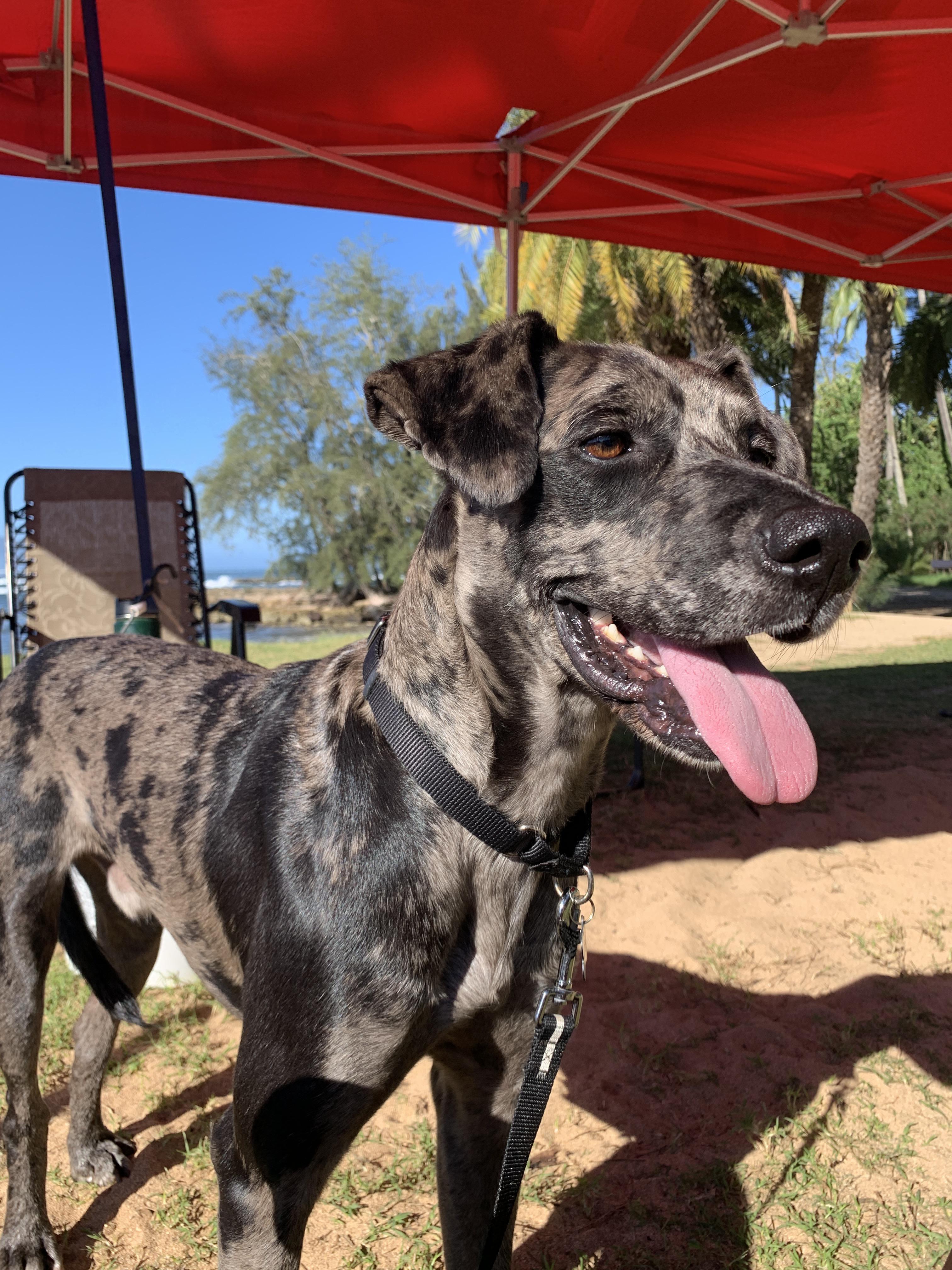 Perfect light to show off his spots :-) | Scrolller