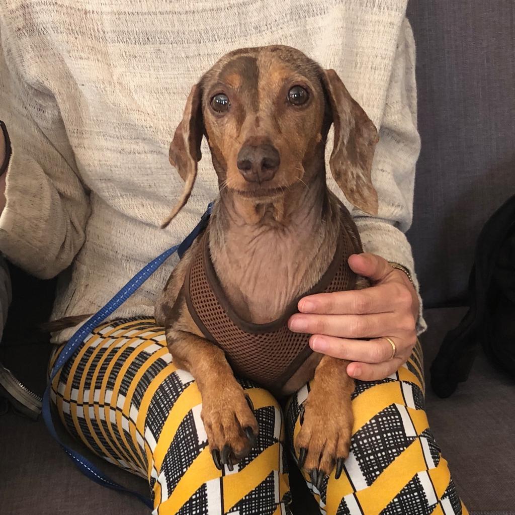 Perfect match | Scrolller