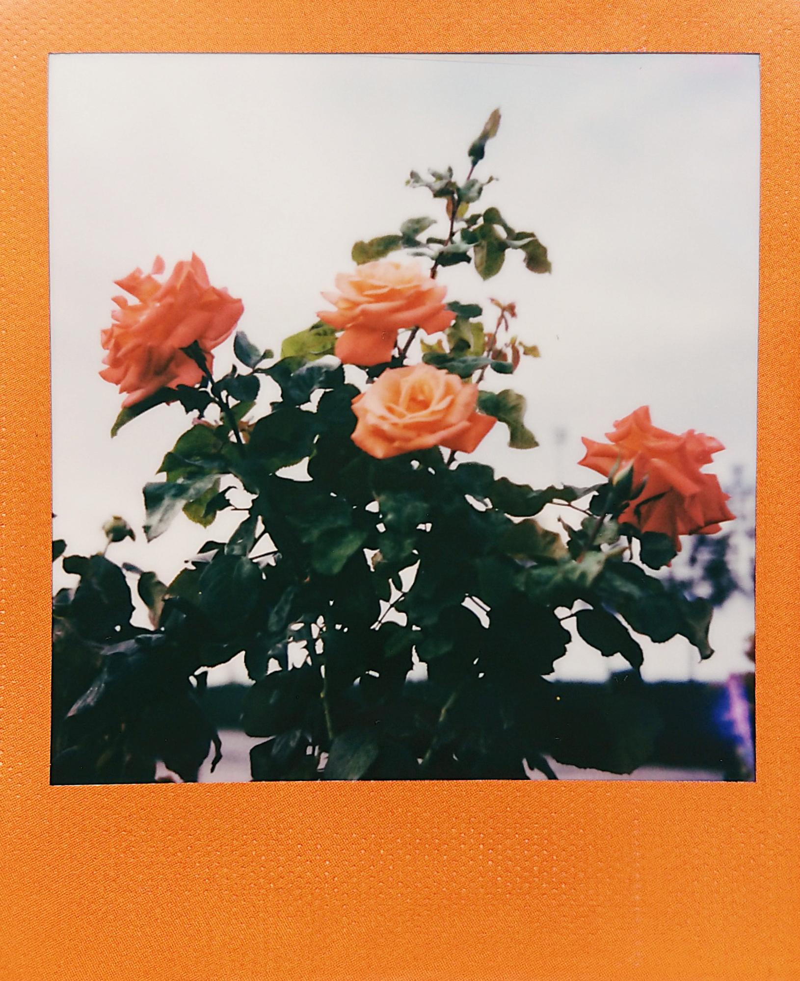 Perfect match! | Scrolller