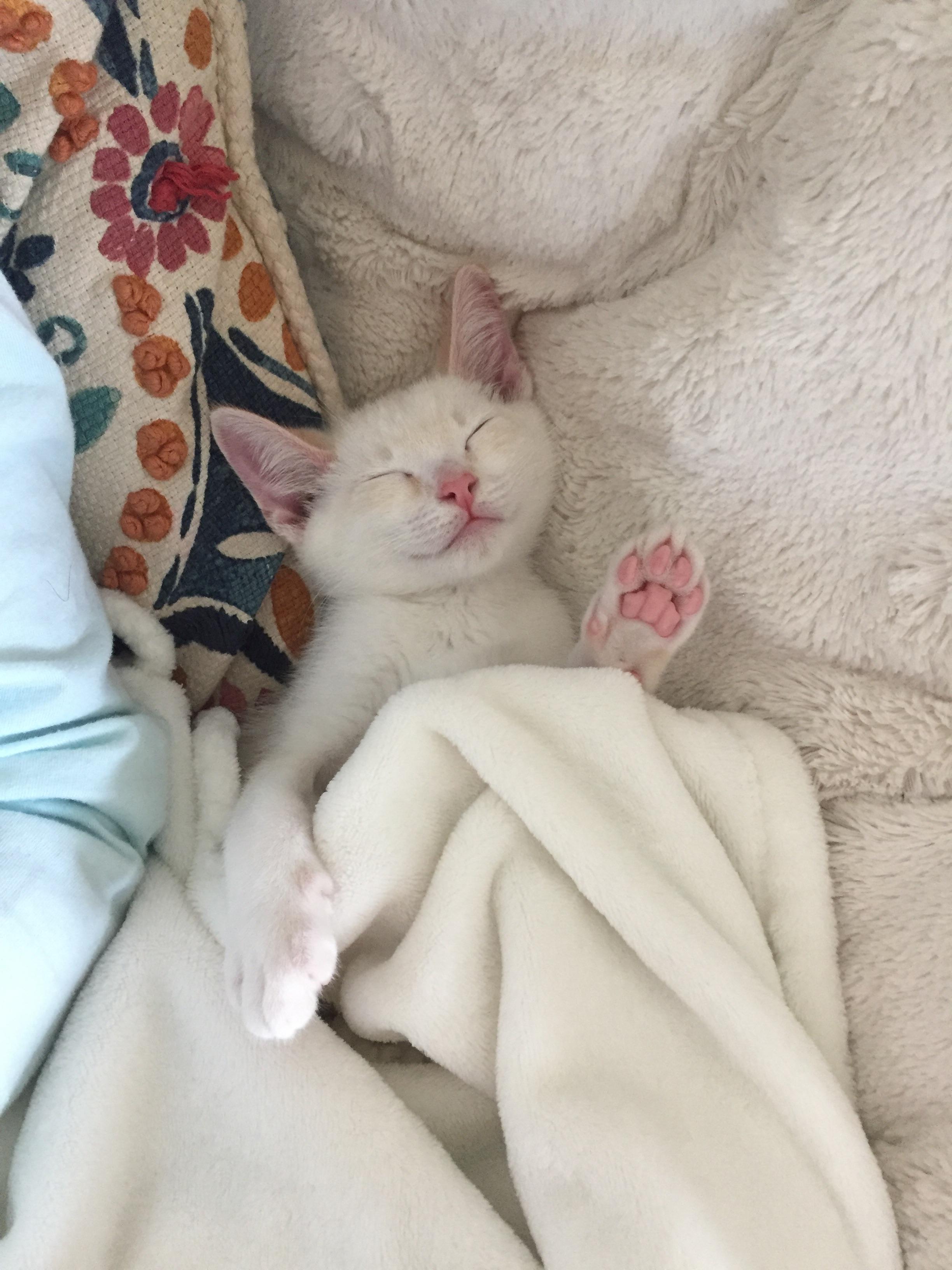 Perfectly pink toe beans💗 | Scrolller