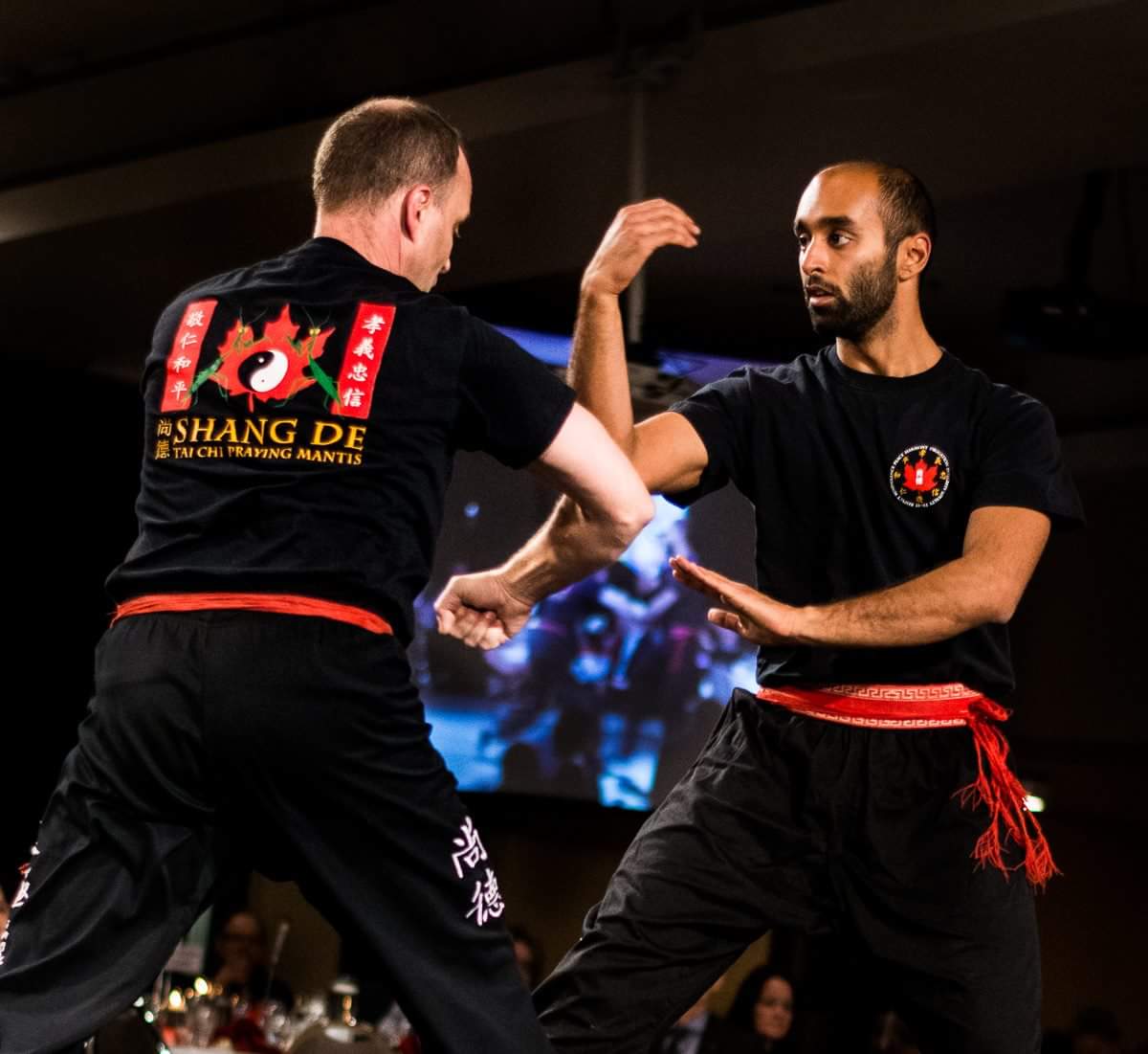 Performance | Scrolller