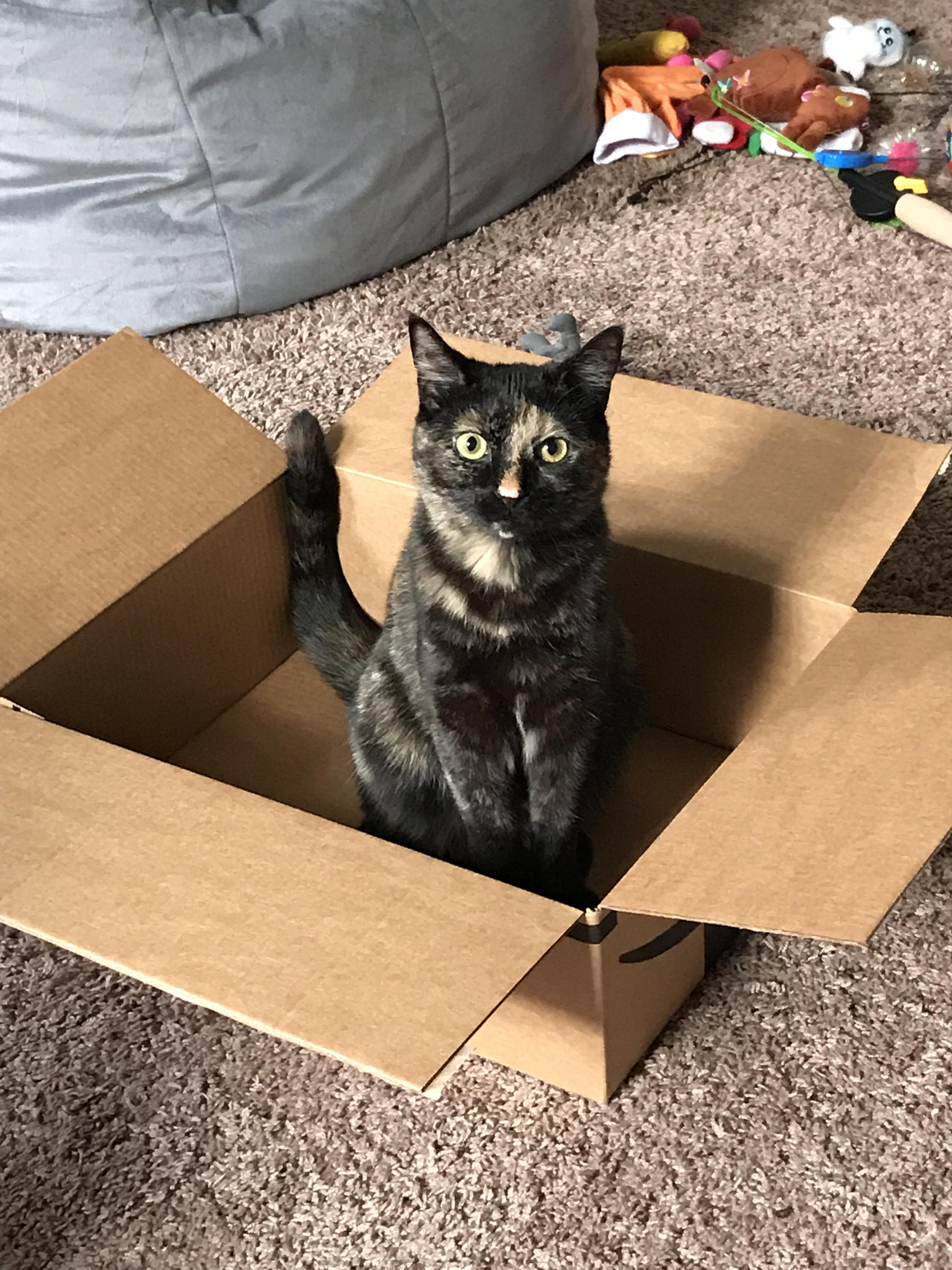 Persephone is still too young to know when she’s been trapped | Scrolller