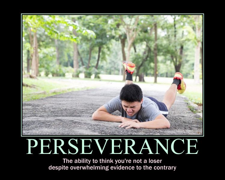 Perseverance | Scrolller