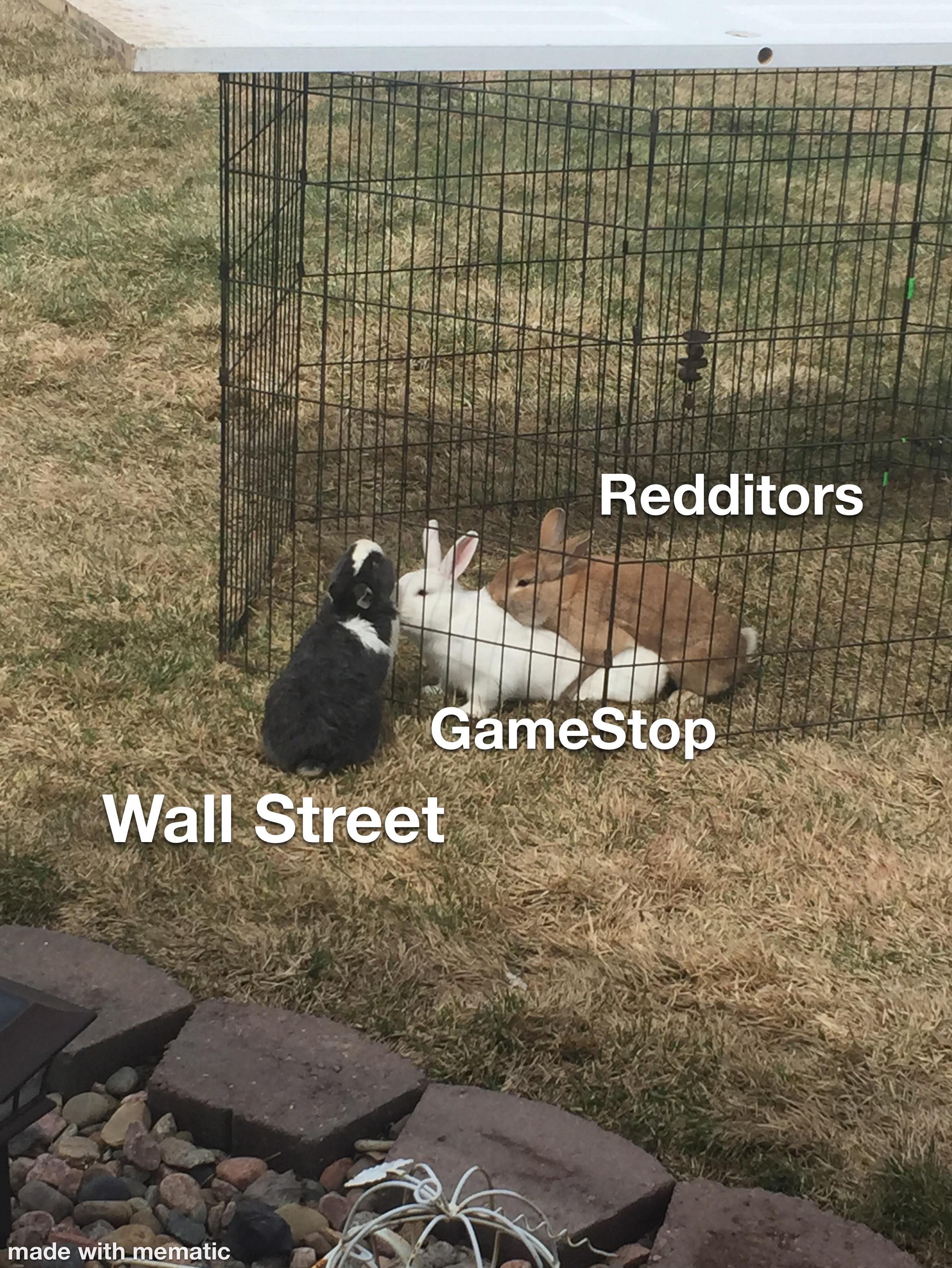 Perspective | Scrolller