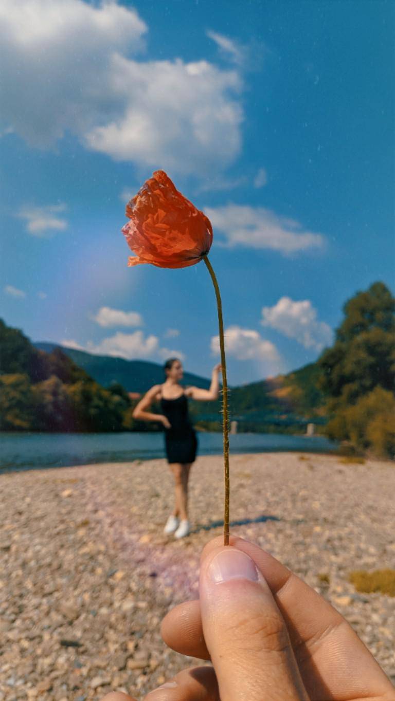 Perspective | Scrolller