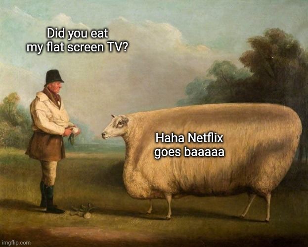 Pesky sheep | Scrolller