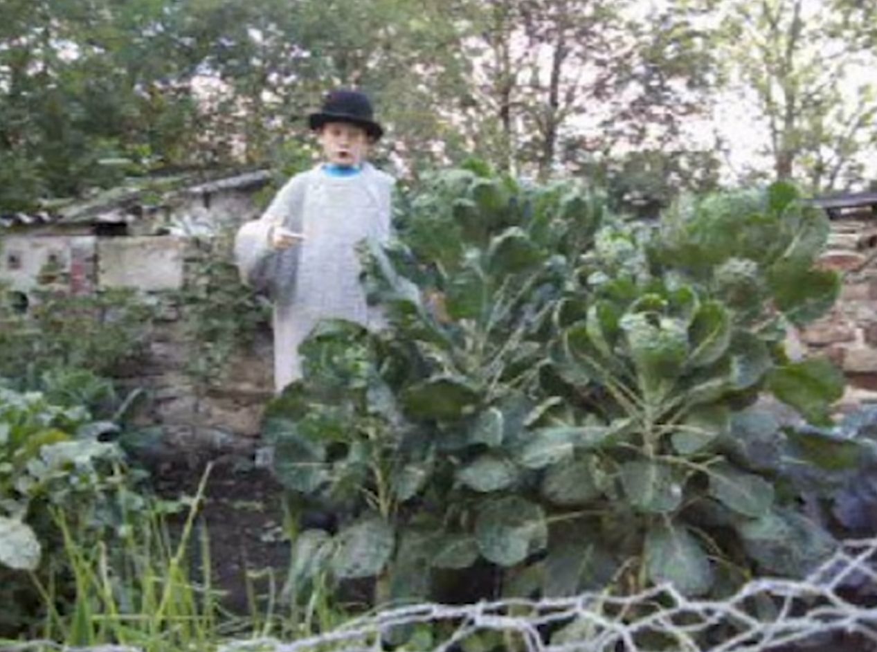 Petition for Jack to recreate the cabbage sket 10 years later | Scrolller