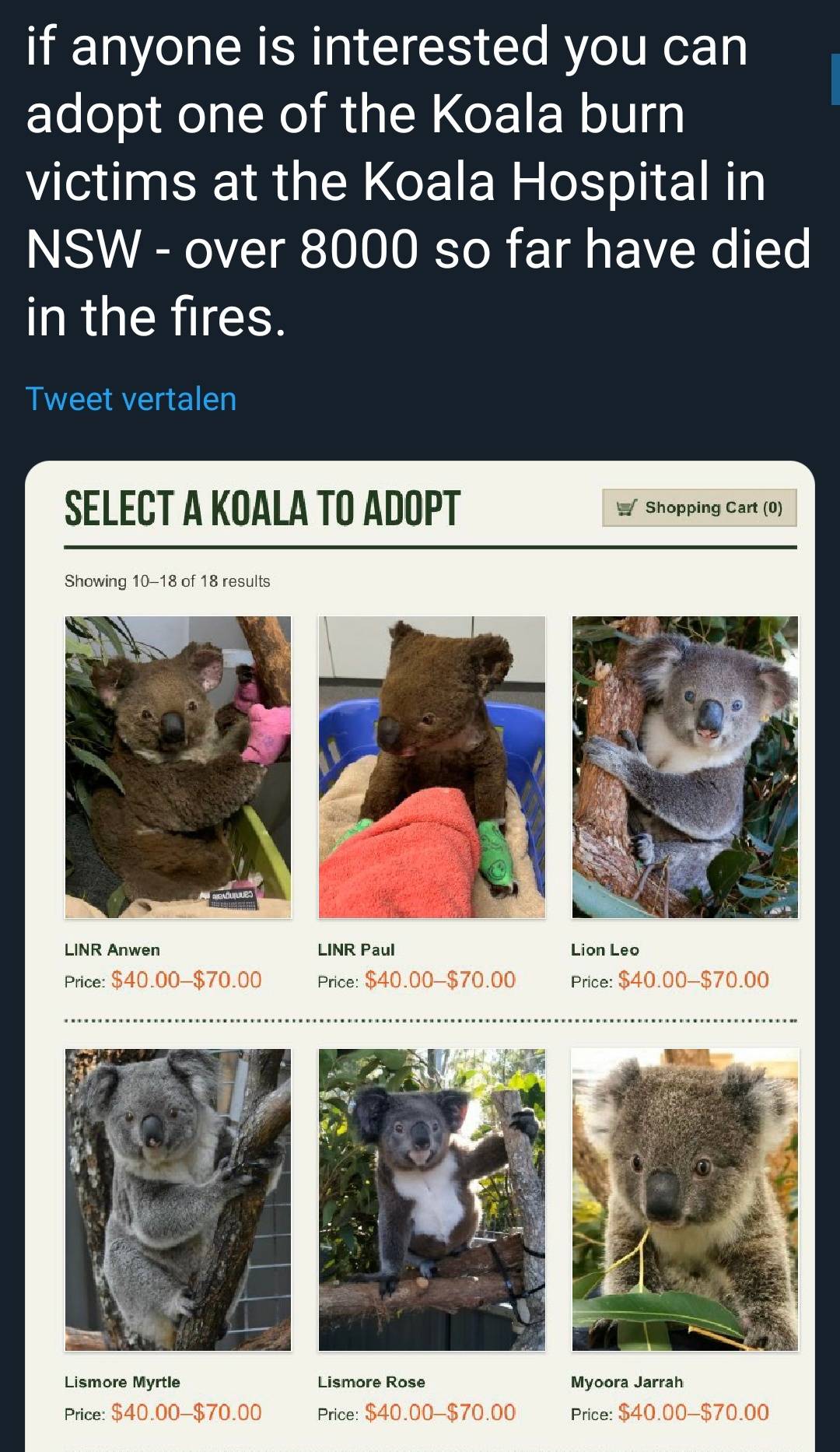 Petition for NymN to adopt a Koala | Scrolller
