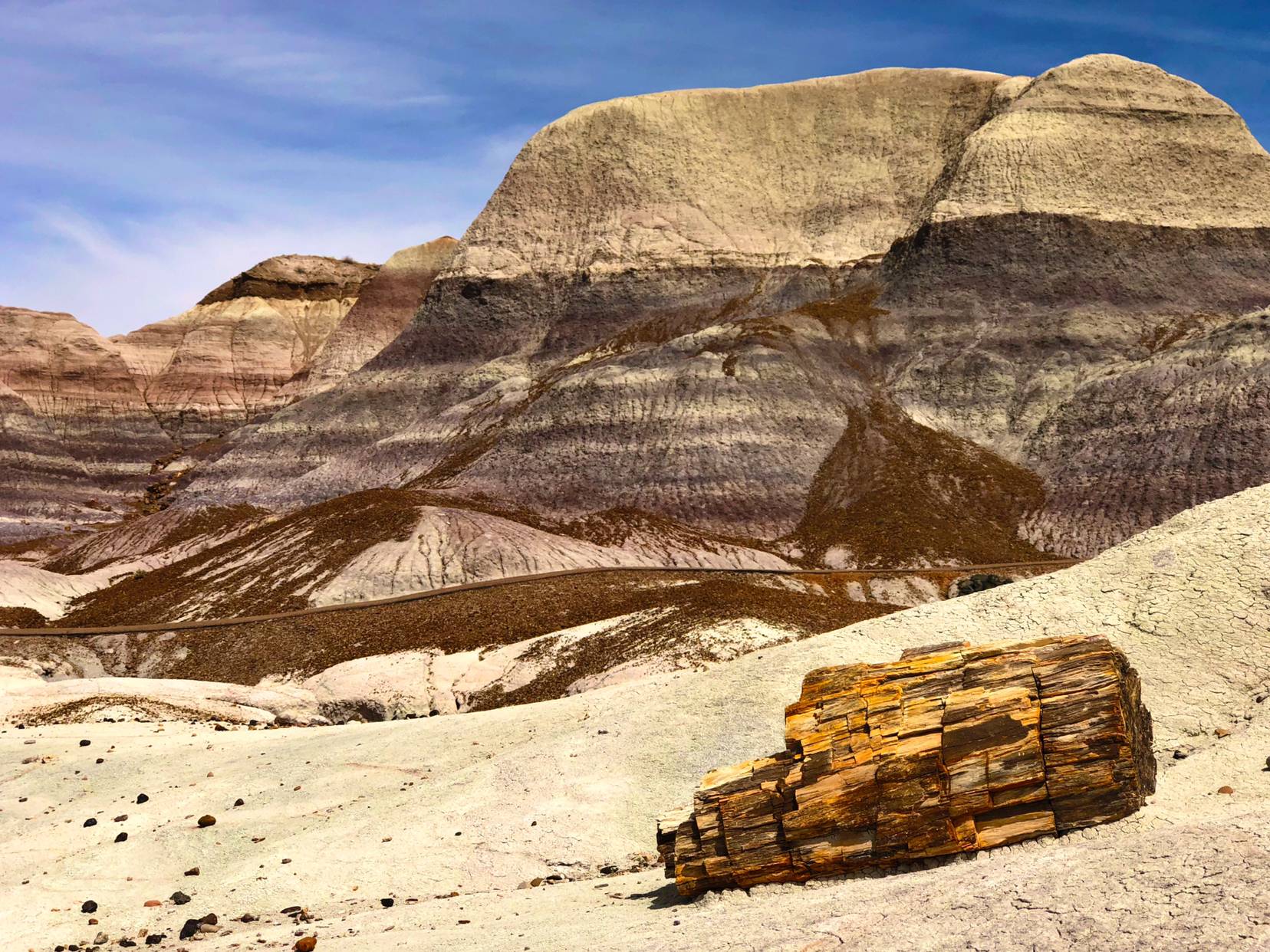 Petrified Forest National Park | Scrolller