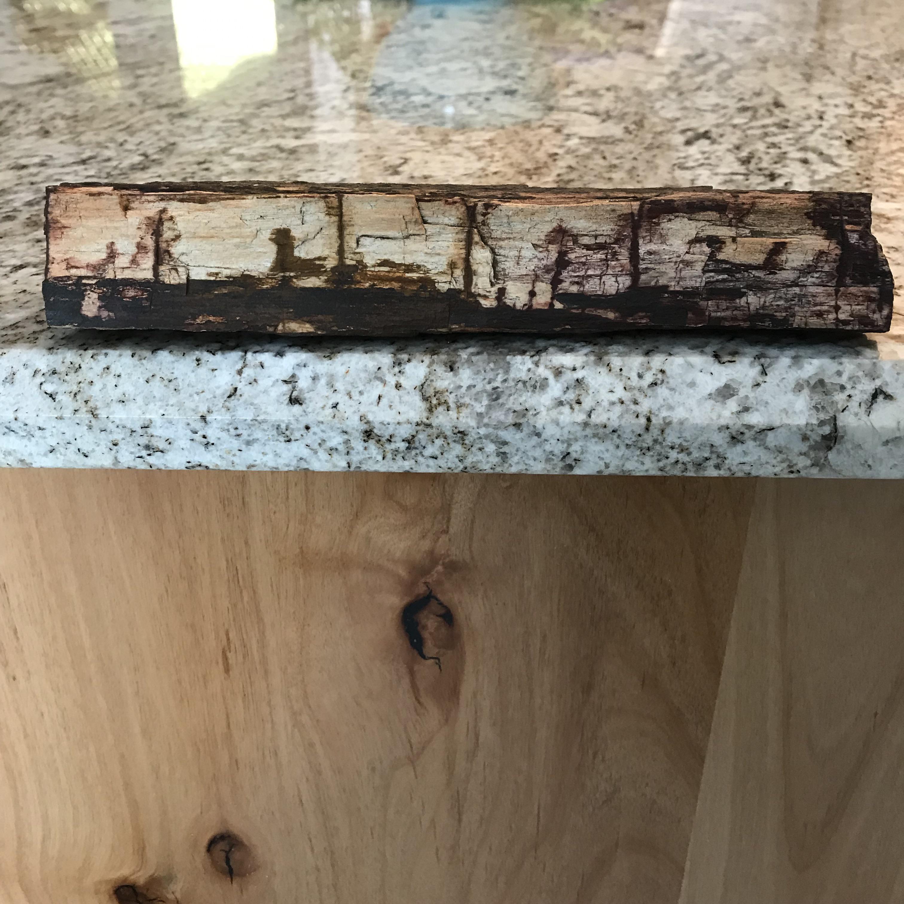 Petrified wood with cool art like pattern | Scrolller