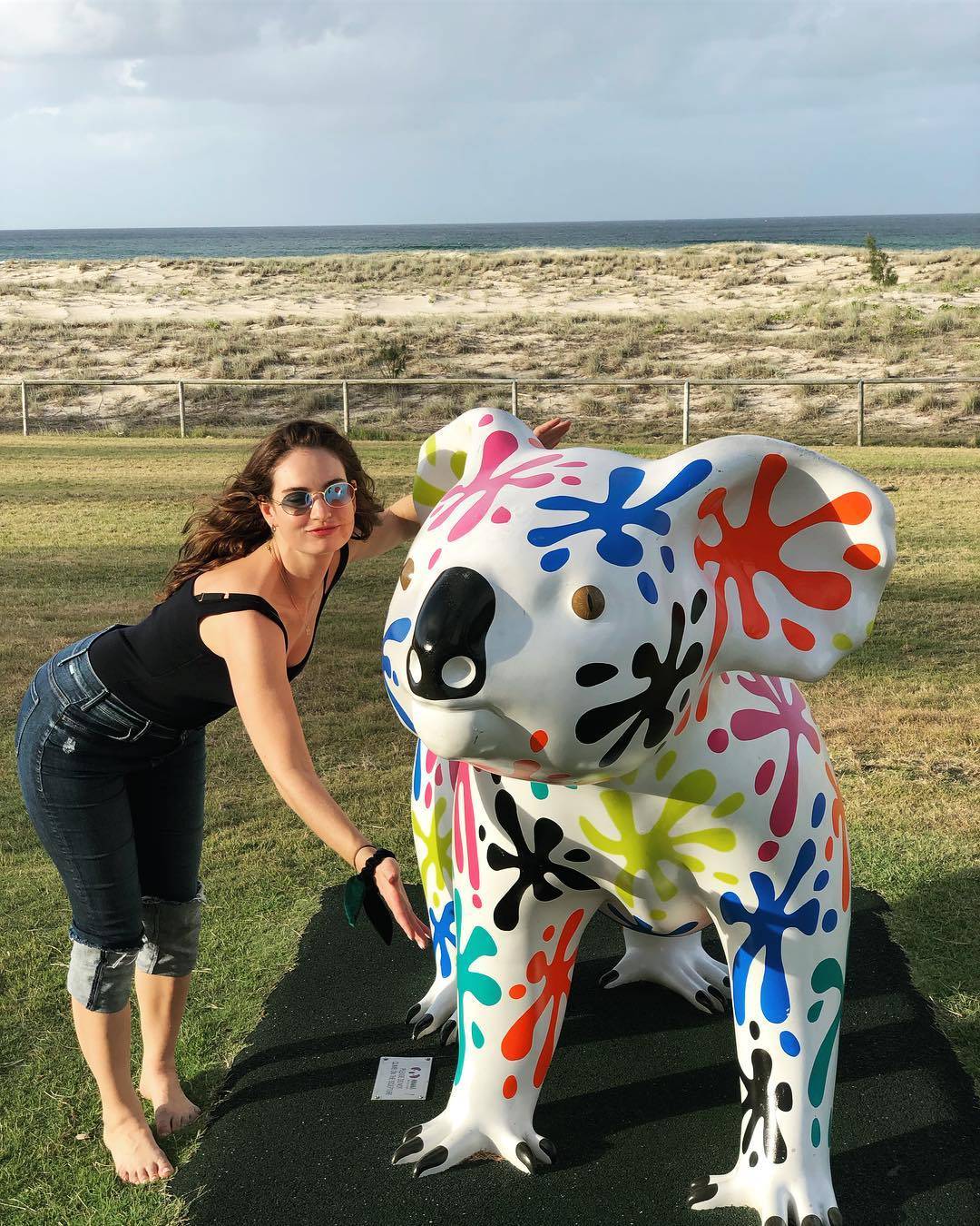 Petting a giant koala | Scrolller