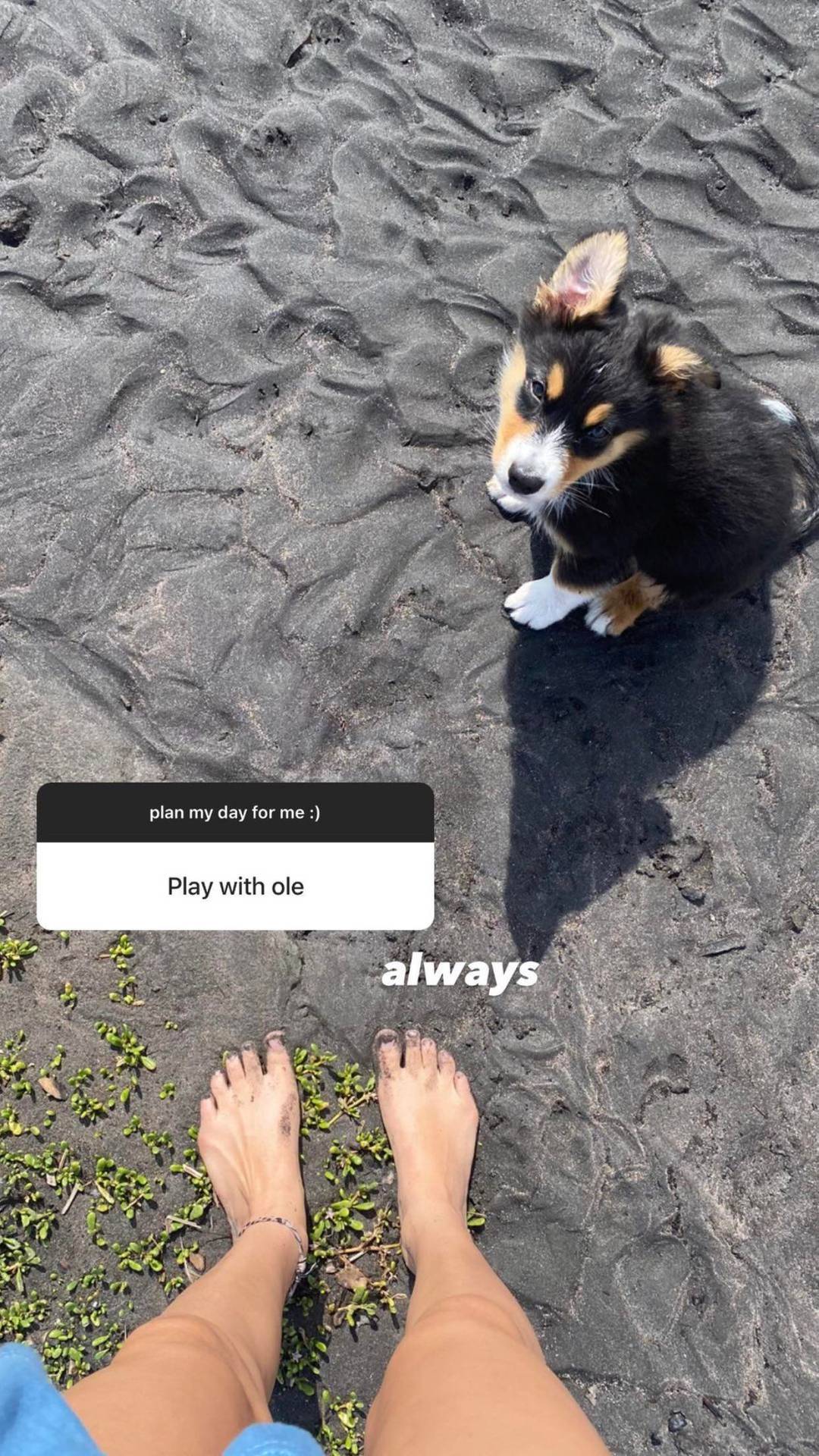 Peyton coffee | Scrolller