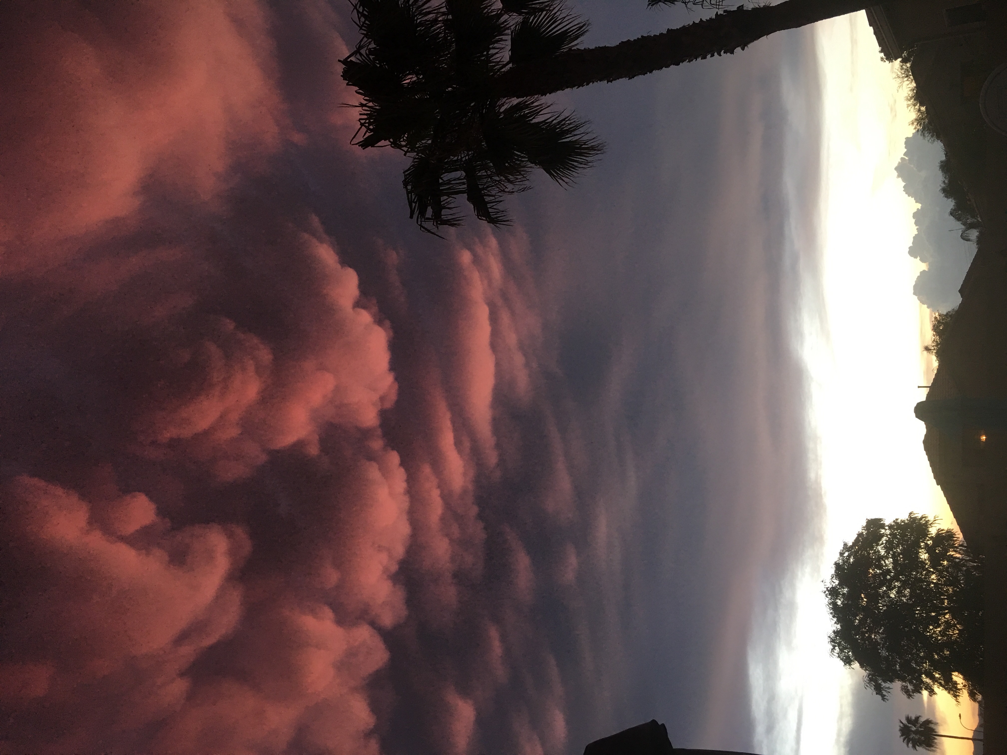 Phoenix Sky | Scrolller