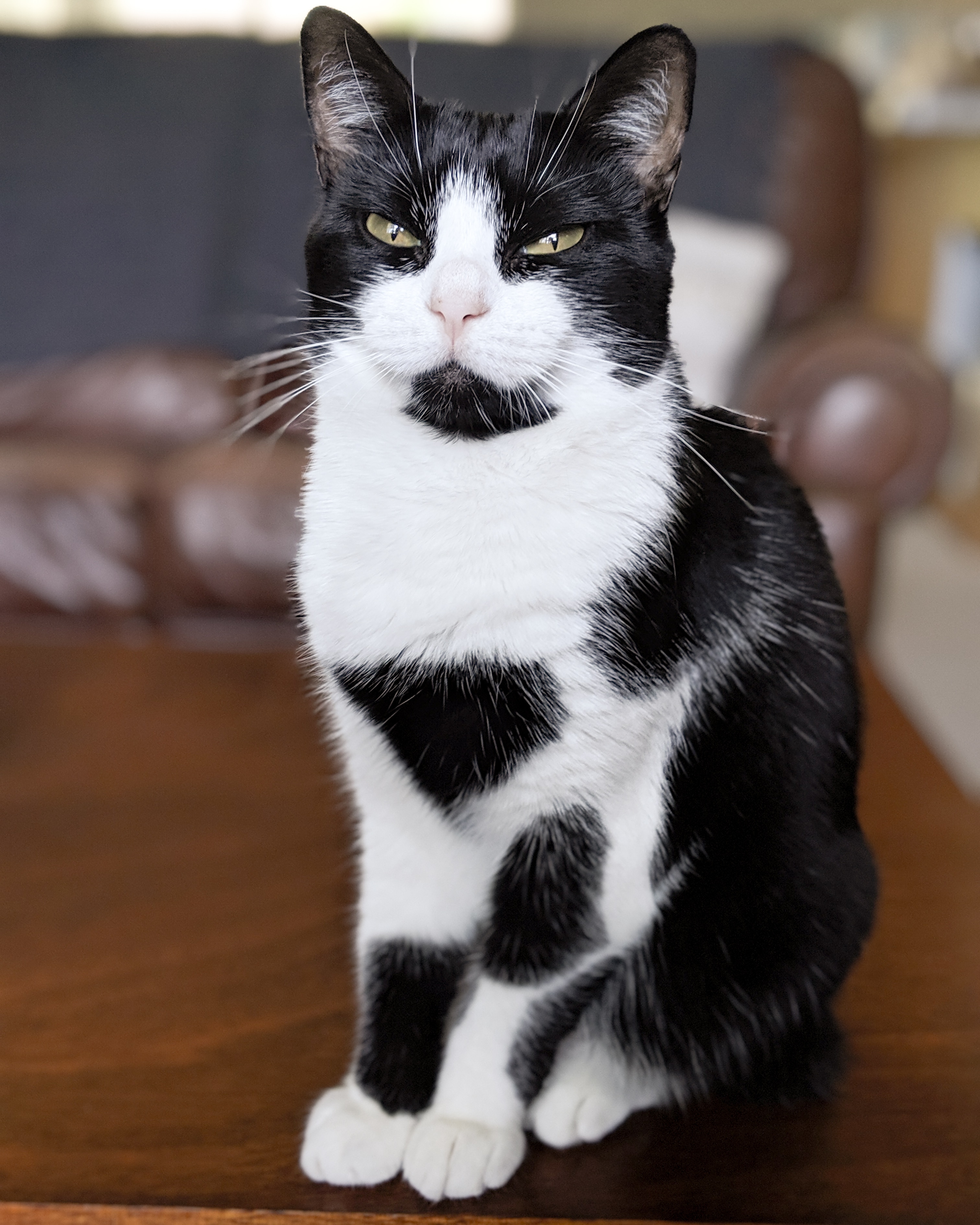 Photogenic lil bean | Scrolller