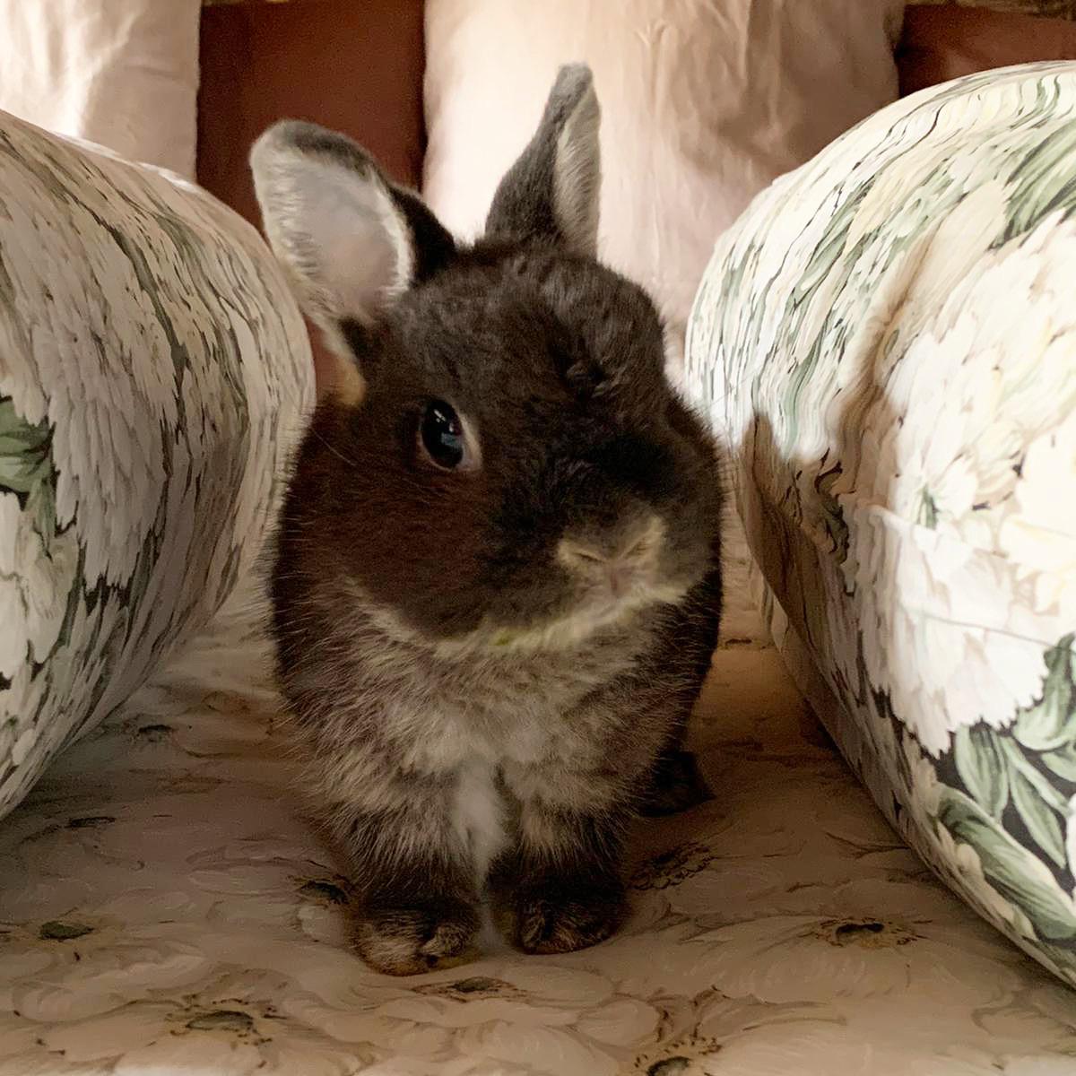 Picard is a very smol bean. | Scrolller