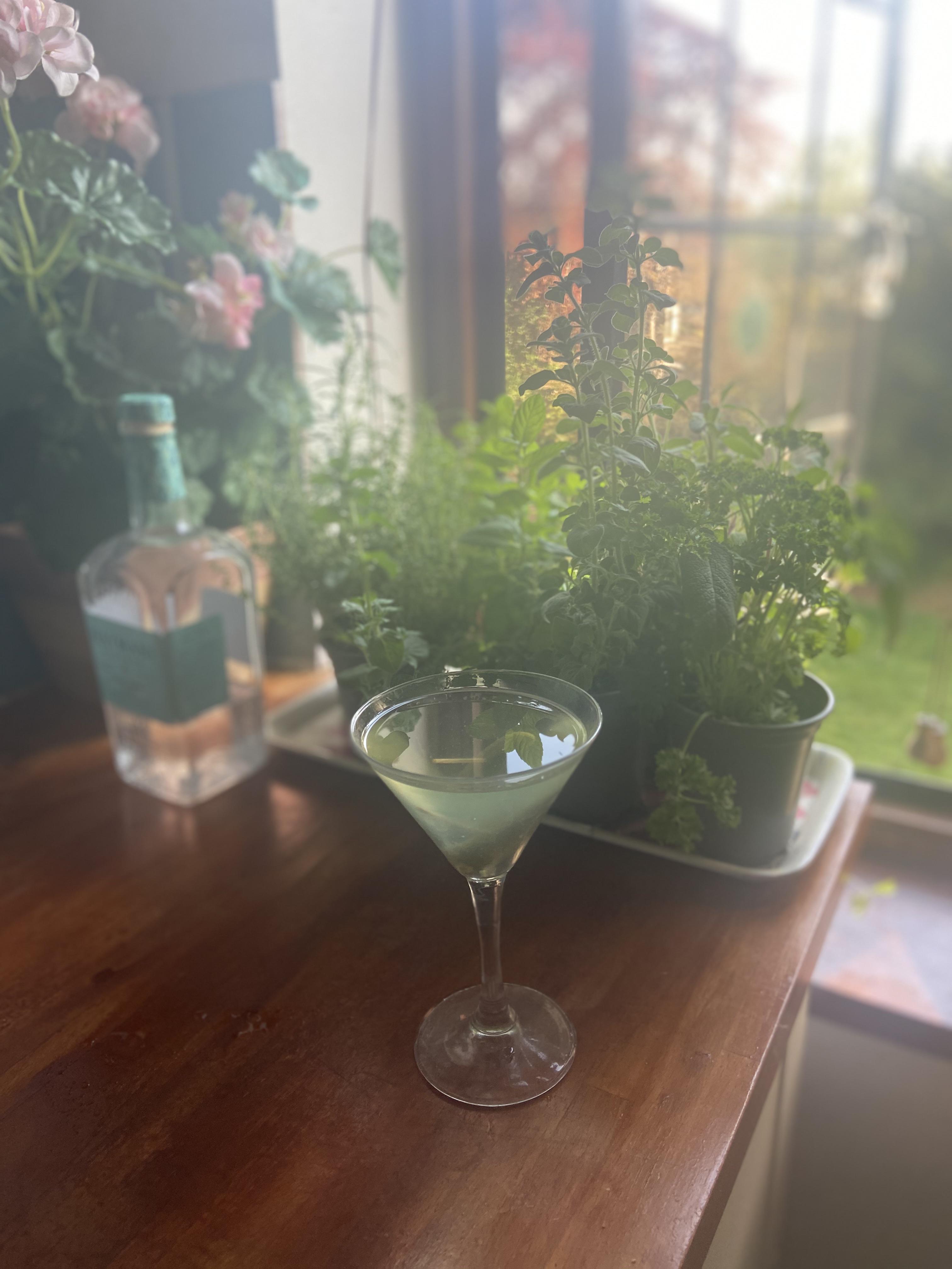 Pickle gin martini | Scrolller