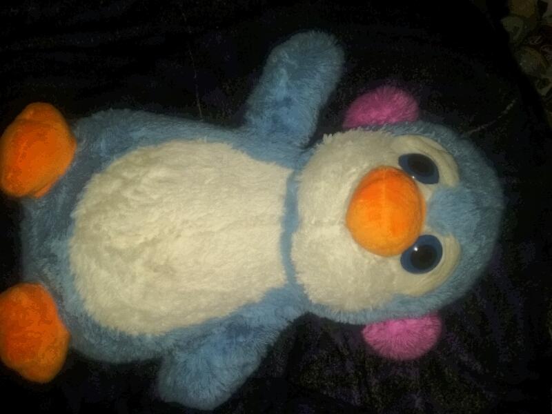 Picture of my penguin | Scrolller