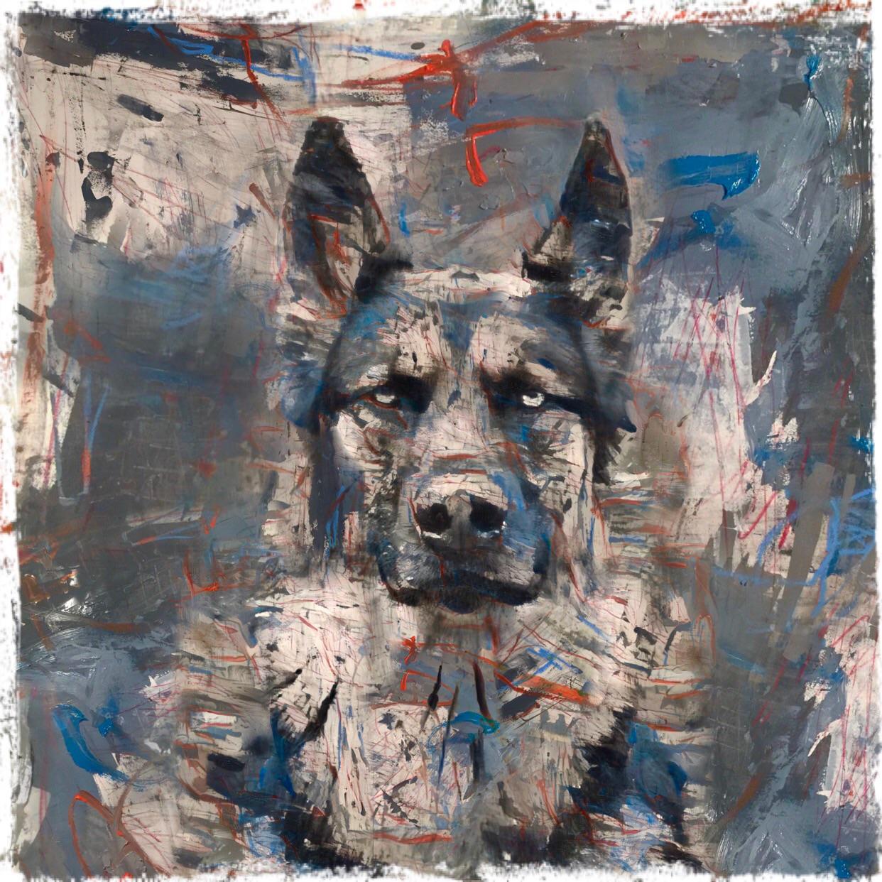 Pictures from Reddit- style transfer | Scrolller