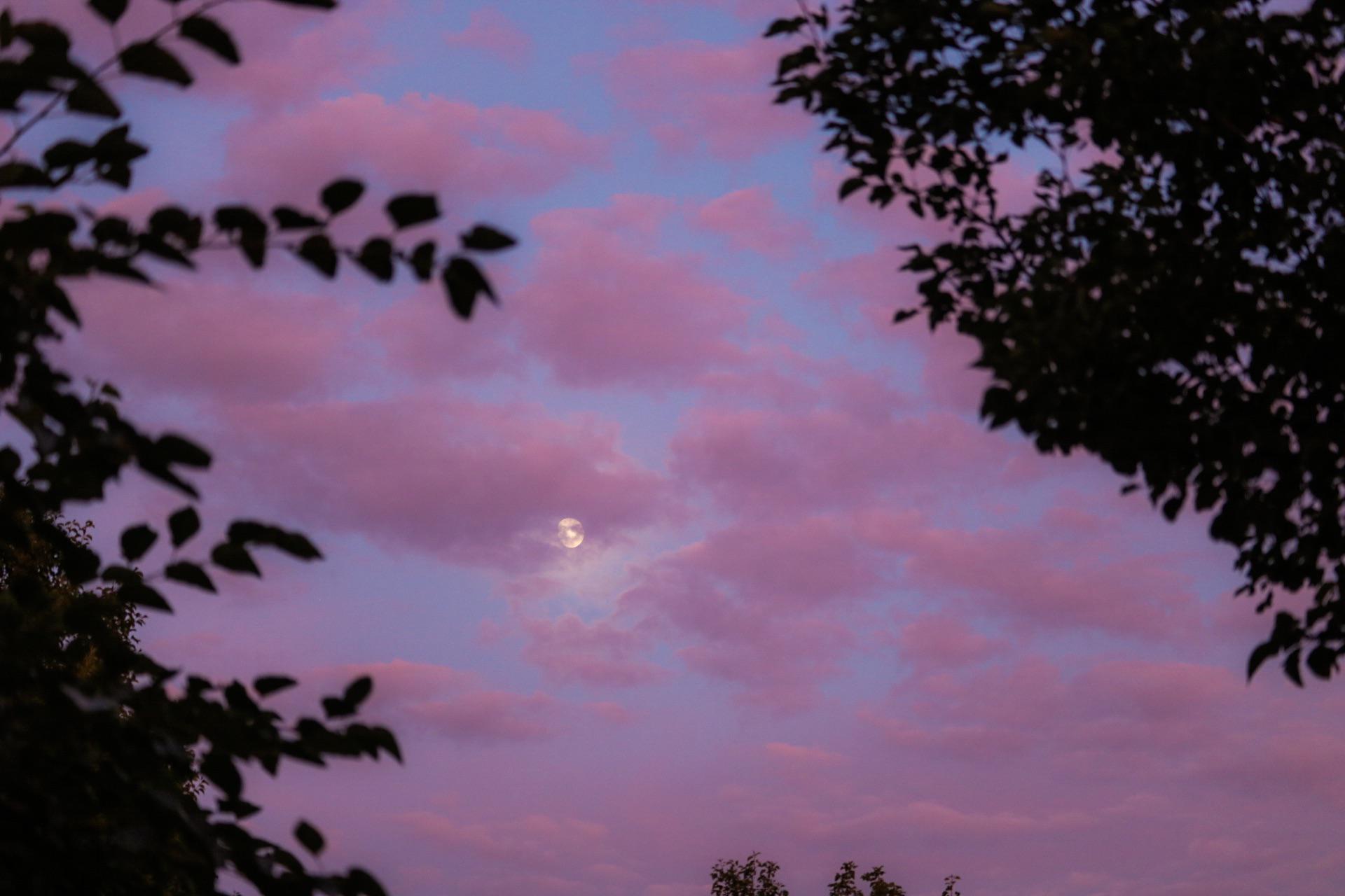 Pink clouds and glowy moon | Scrolller
