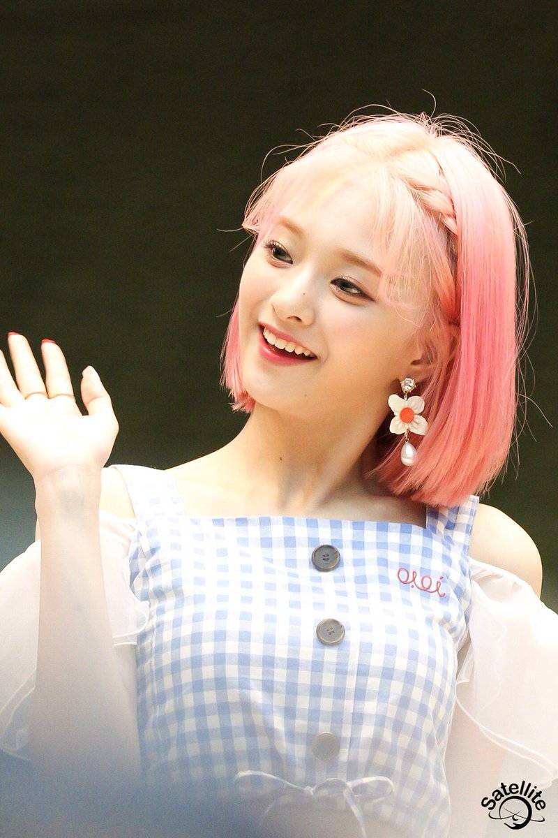 Pink Nakko | Scrolller