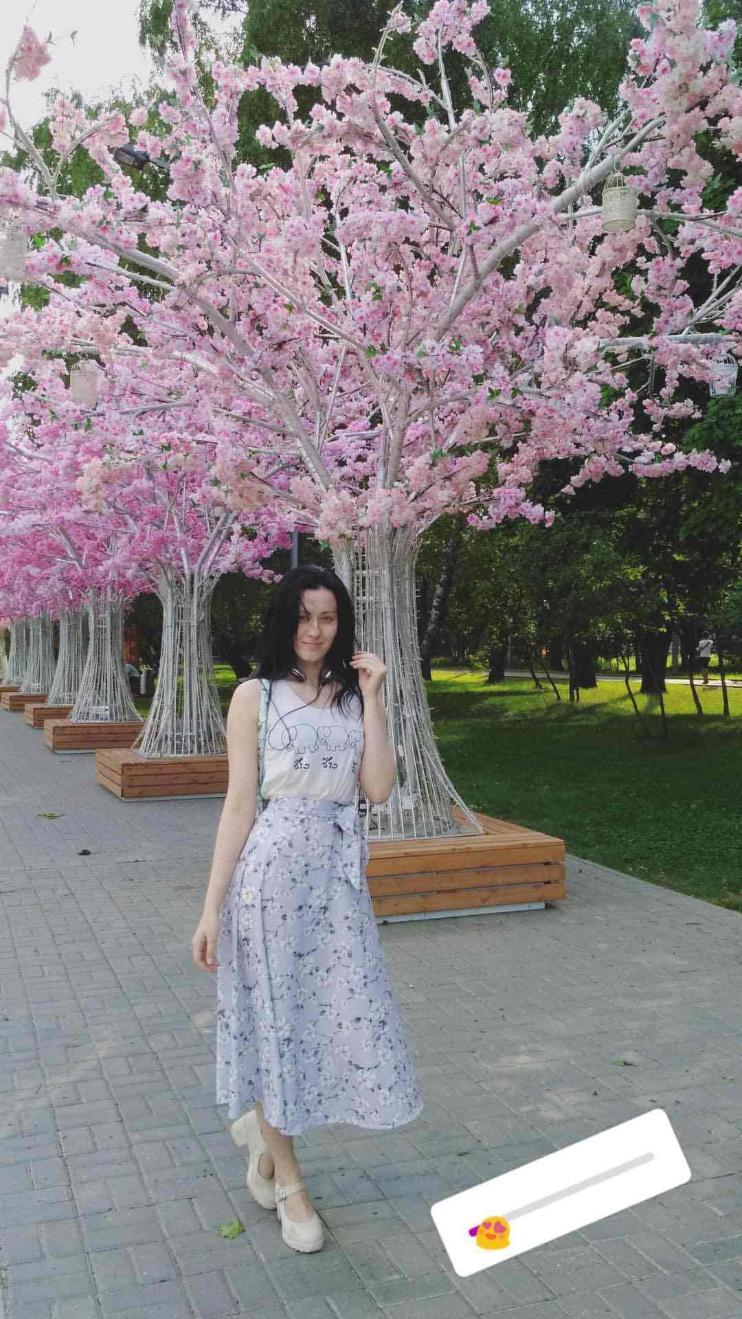 Pink trees | Scrolller