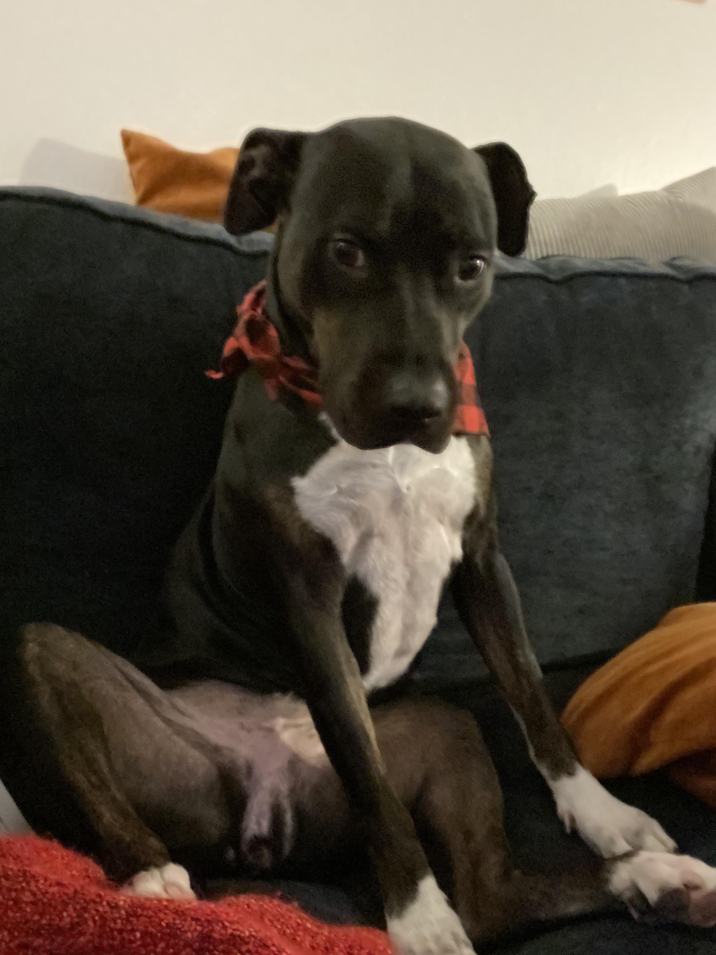 Pit sits | Scrolller