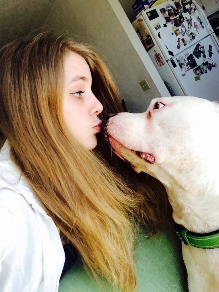 Pitbulls are probably the best dogs [/u/invalidtremors] | Scrolller