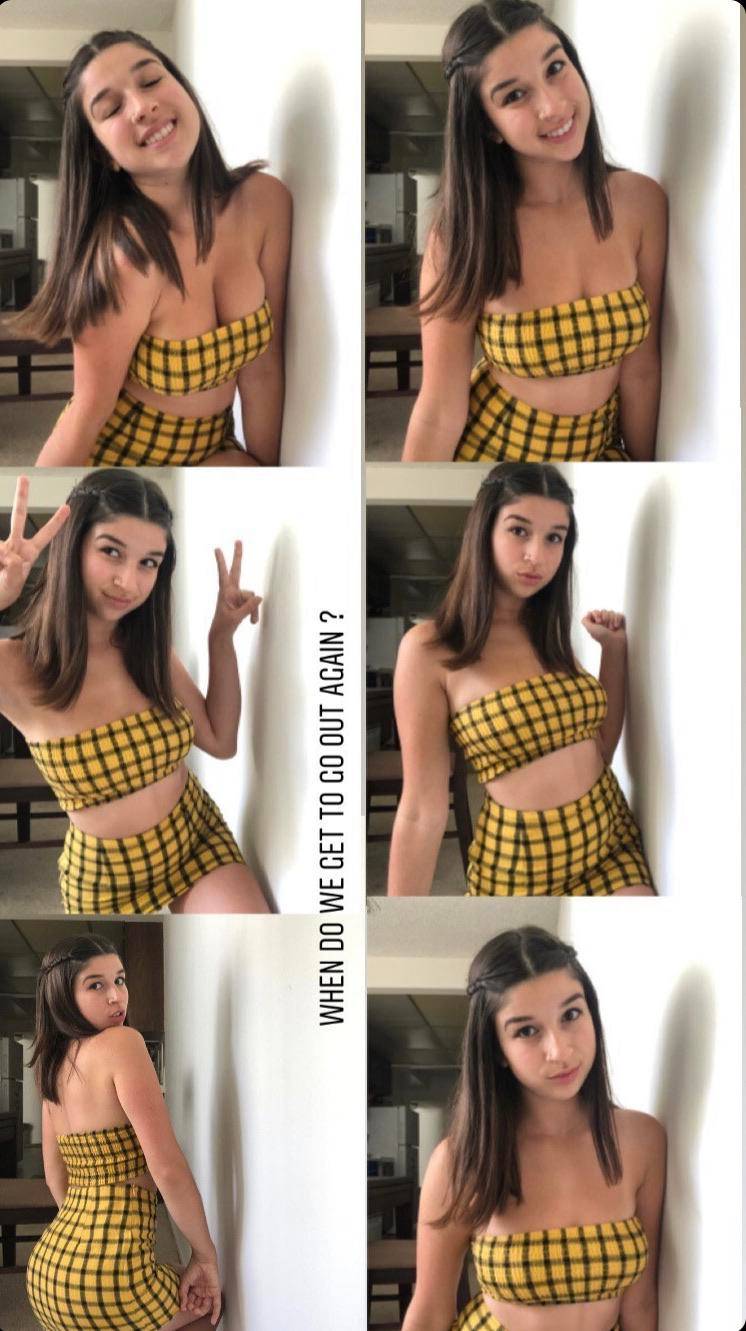 Plaid Summer Scrolller