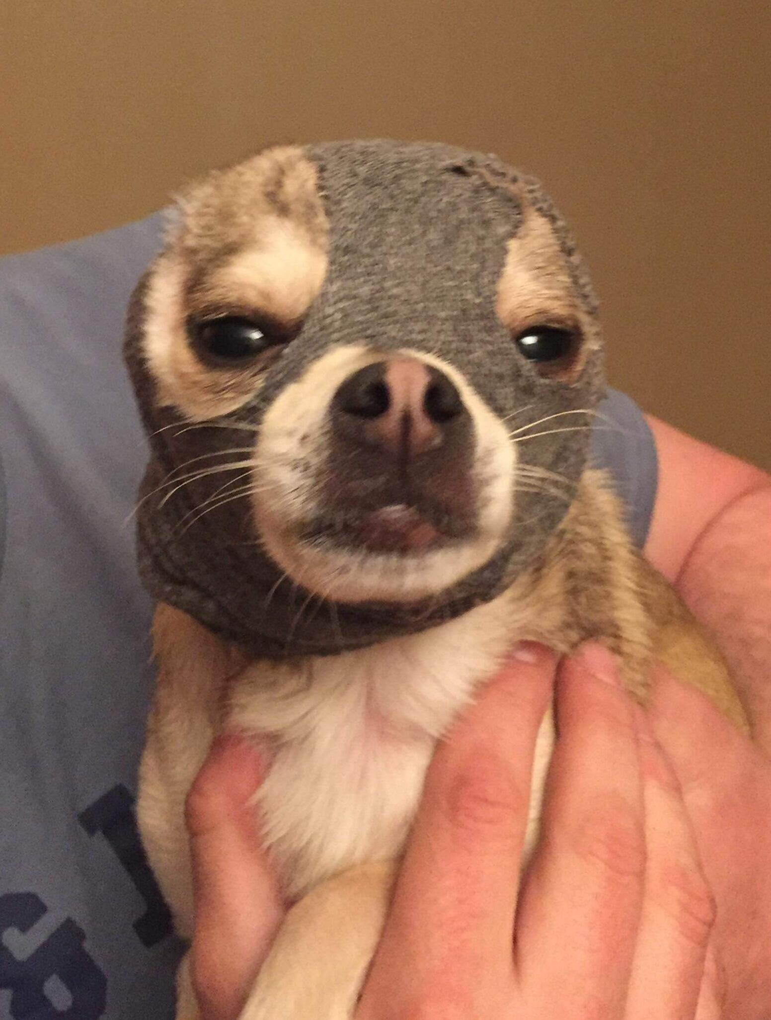 Planning his next heart robbery | Scrolller