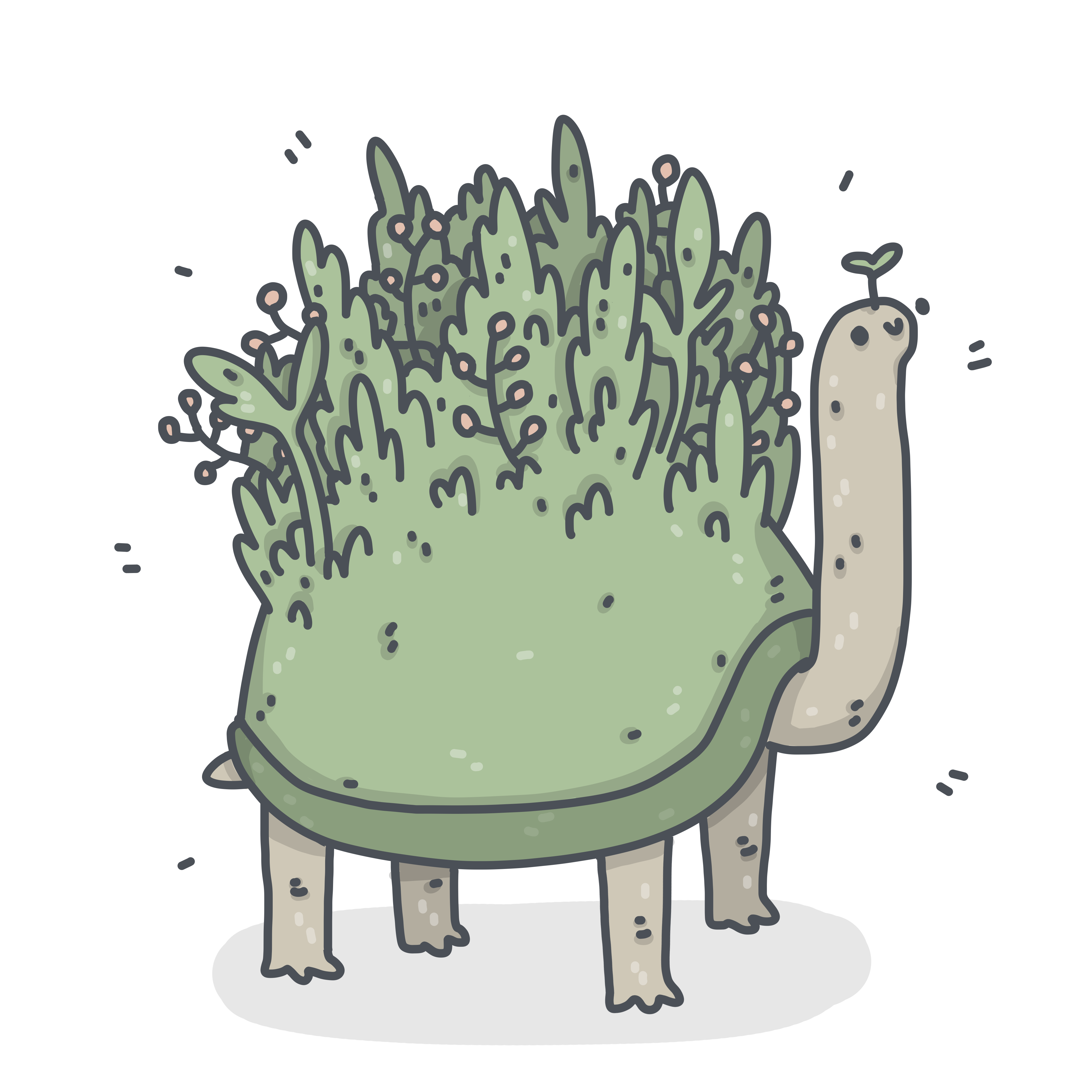 plant turtle I drew | Scrolller
