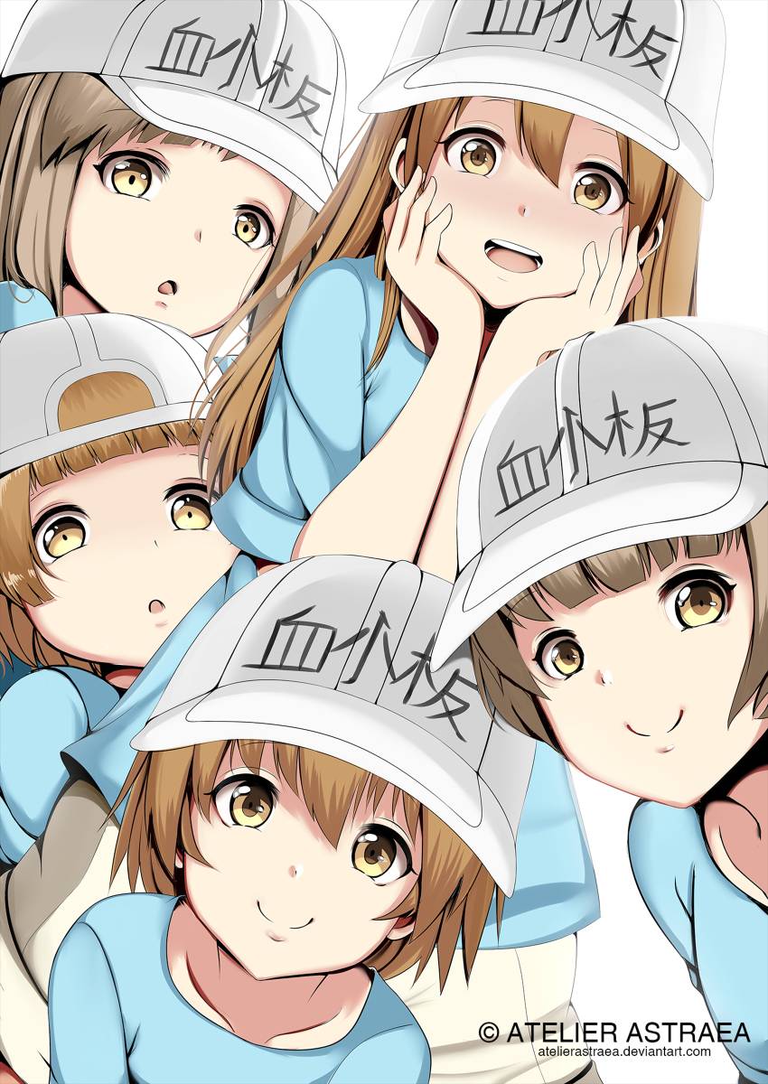 Platelet team | Scrolller