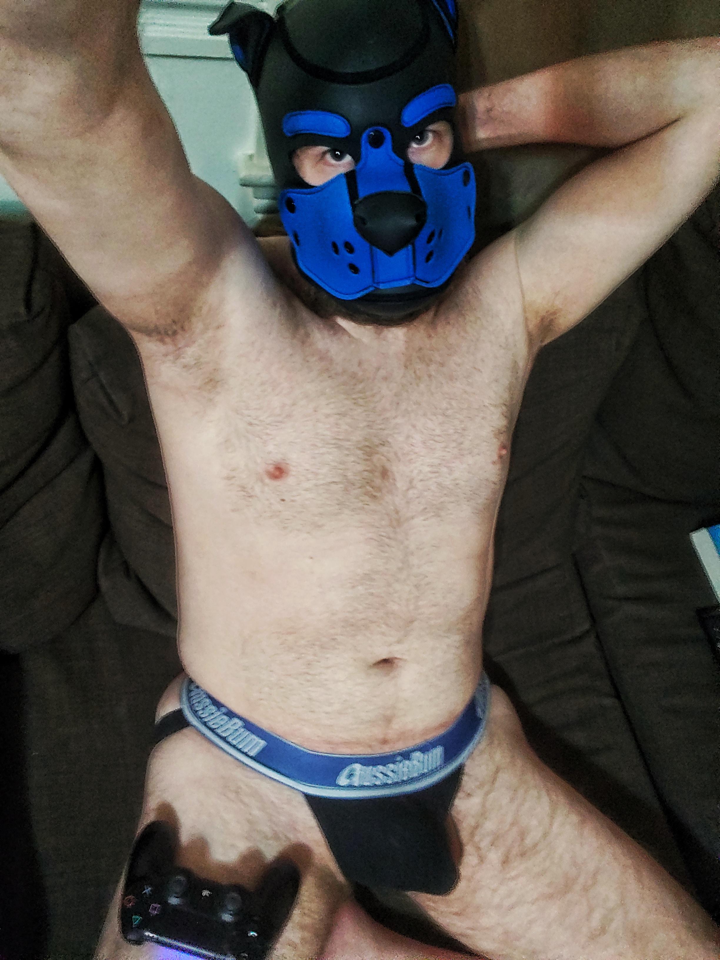 Play time? 🐶 Winner gets to be alpha for the day! Ruff! | Scrolller