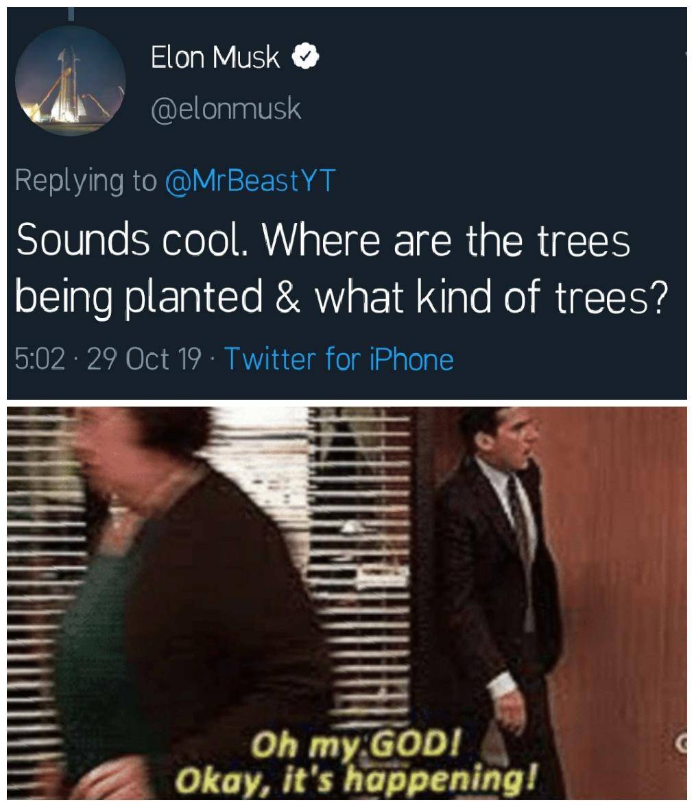 Please do it Elon | Scrolller