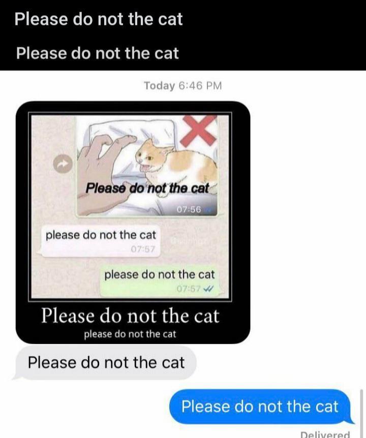 Please do not the cat | Scrolller