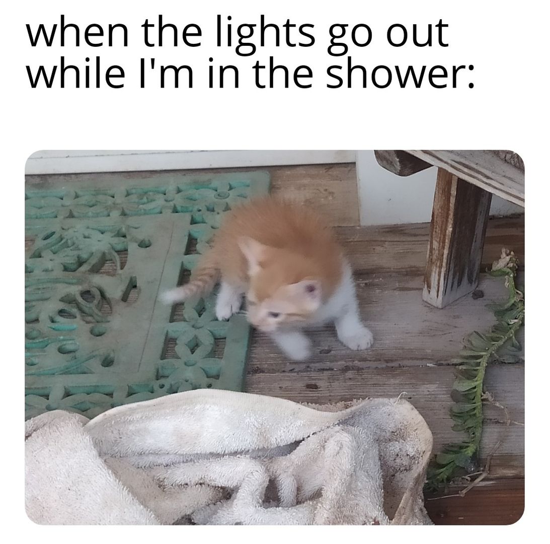 Please don't eat my ass demons | Scrolller