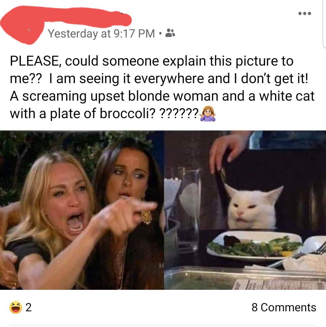 Please explain this meme | Scrolller