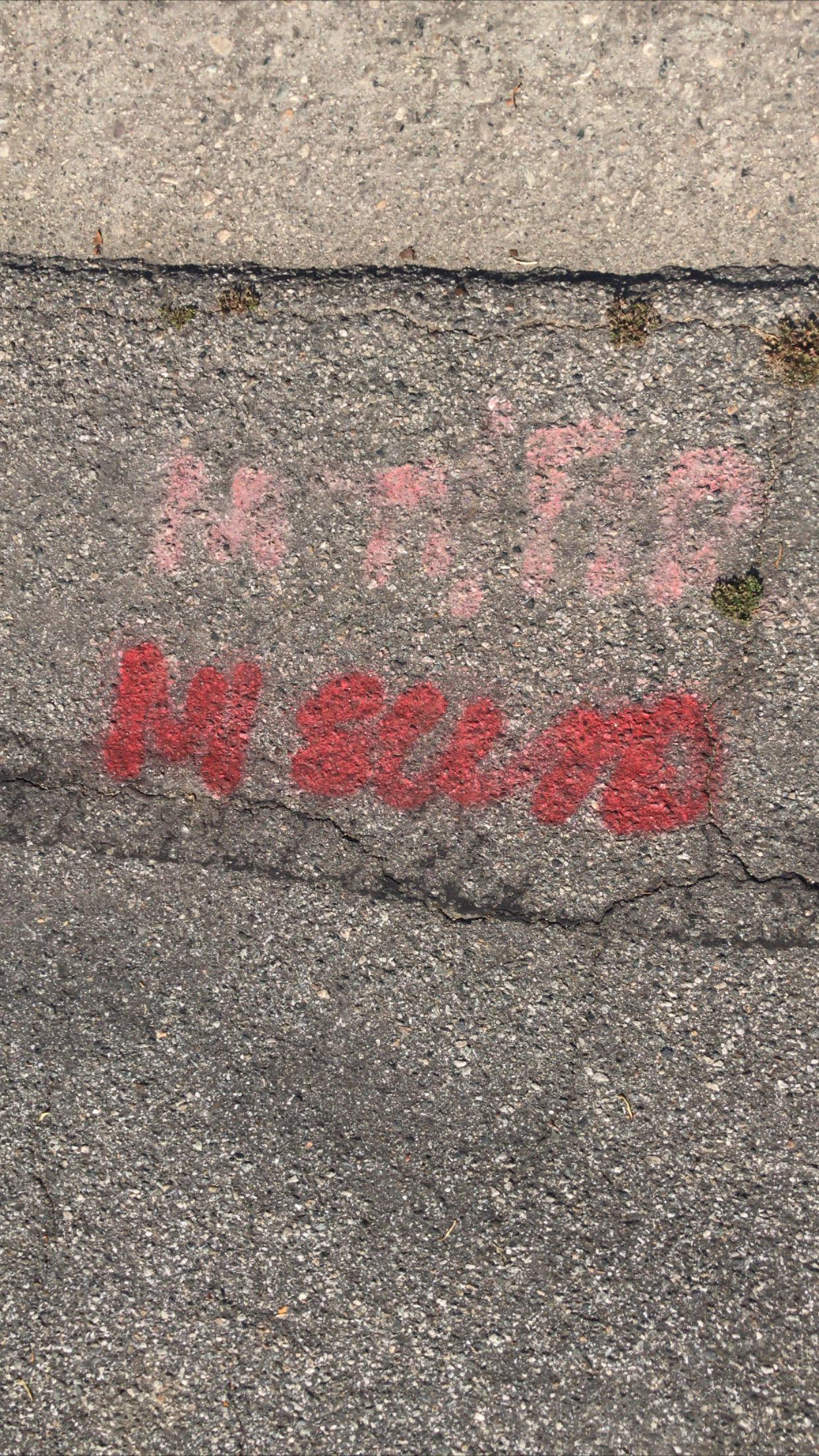 Please help me decipher utility markings | Scrolller