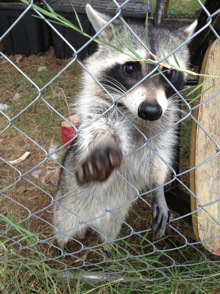 Please, no more pictures! | Scrolller