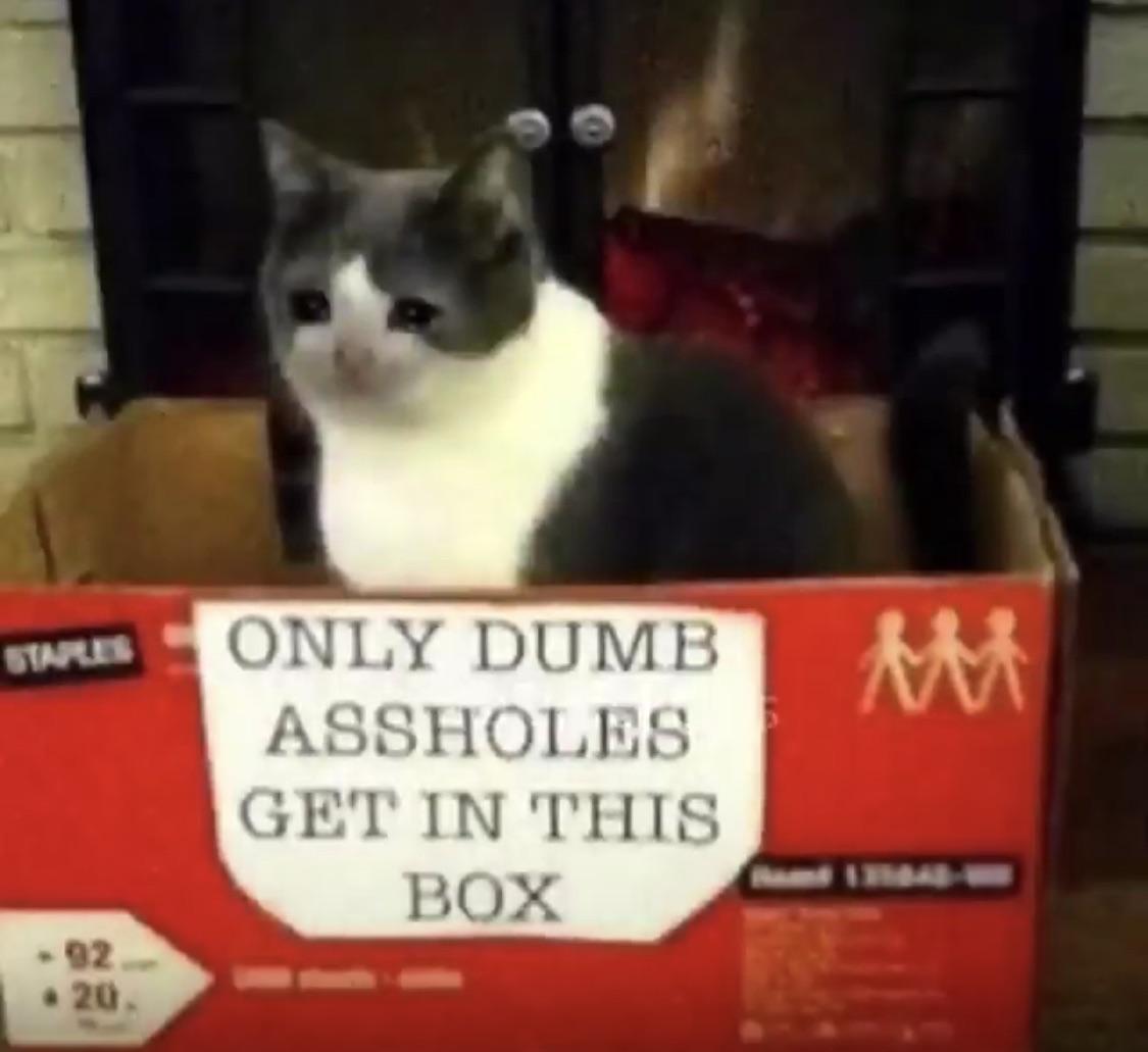 Please remove him :( | Scrolller