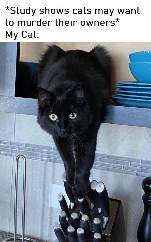 Please Send Help Scrolller