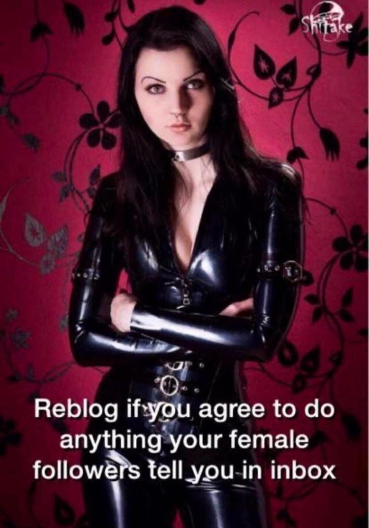 Please sir? | Scrolller