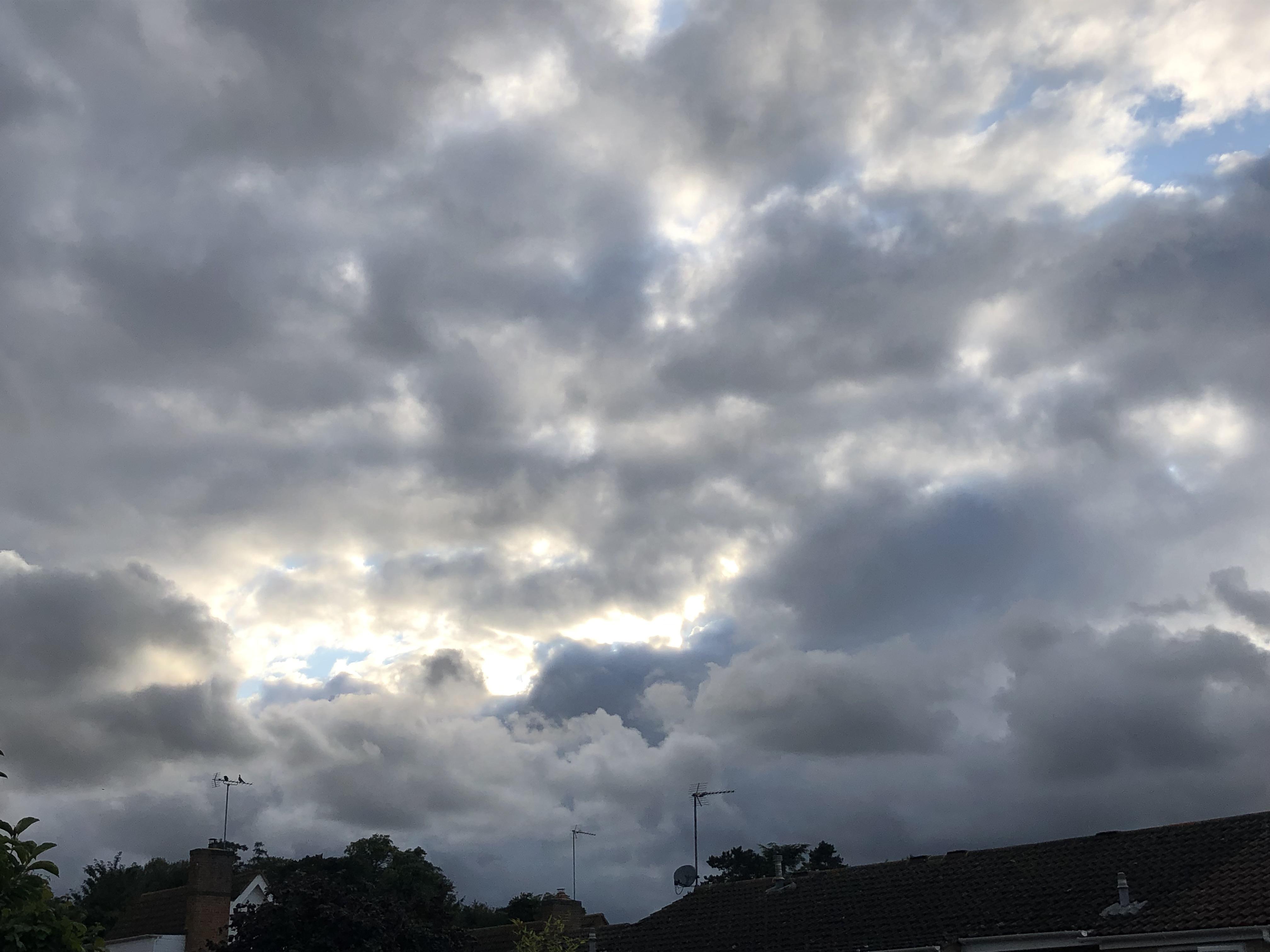 Ploud corn | Scrolller