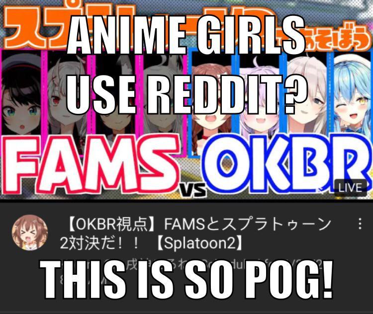 pls take my ham in mariage | Scrolller