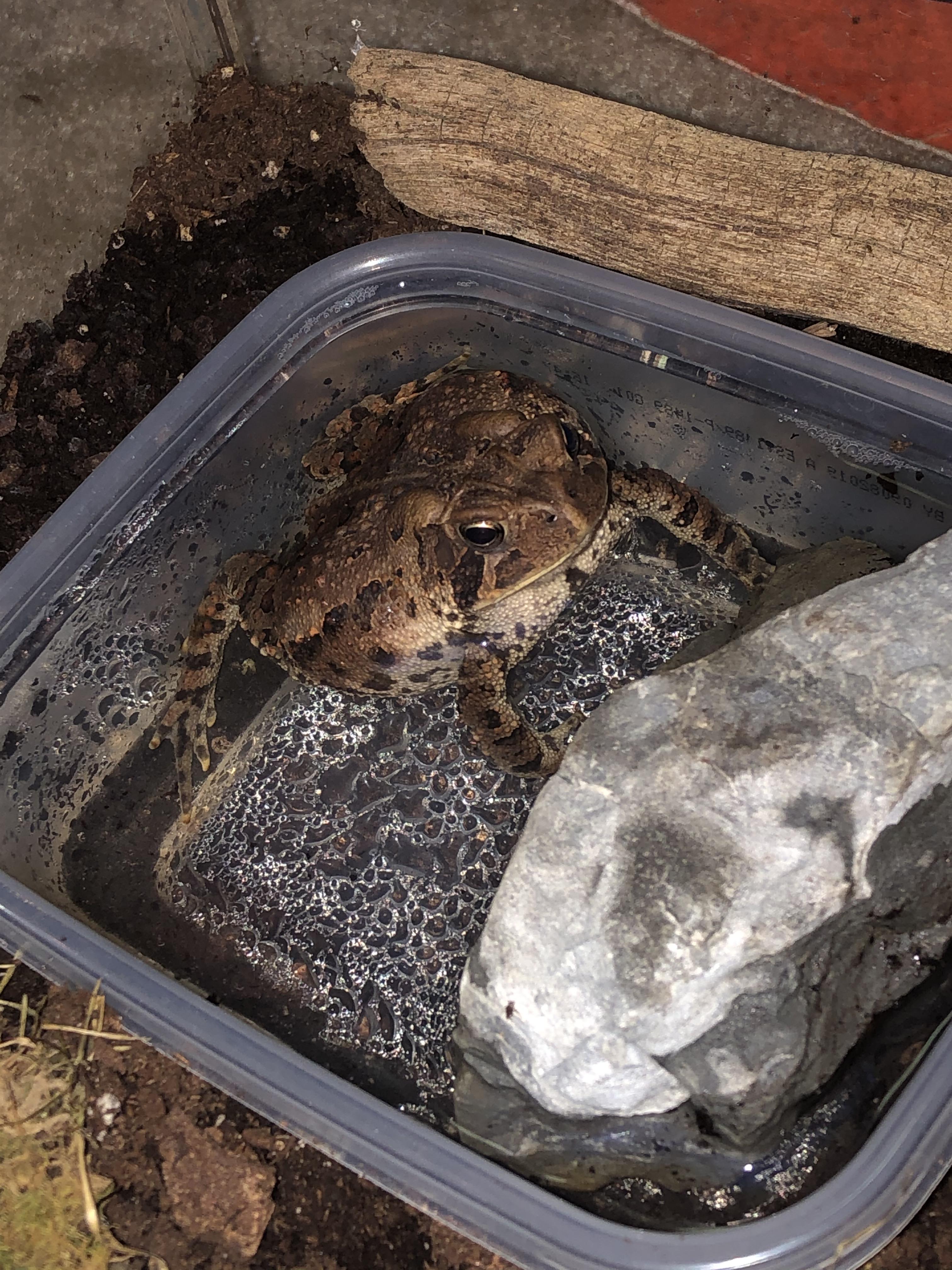 Plump and soaking | Scrolller