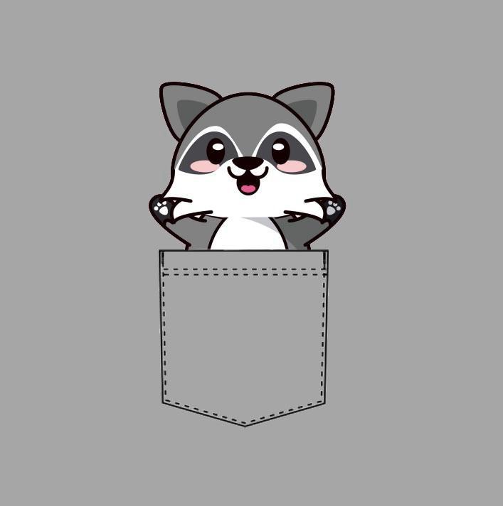 pocket raccoon | Scrolller