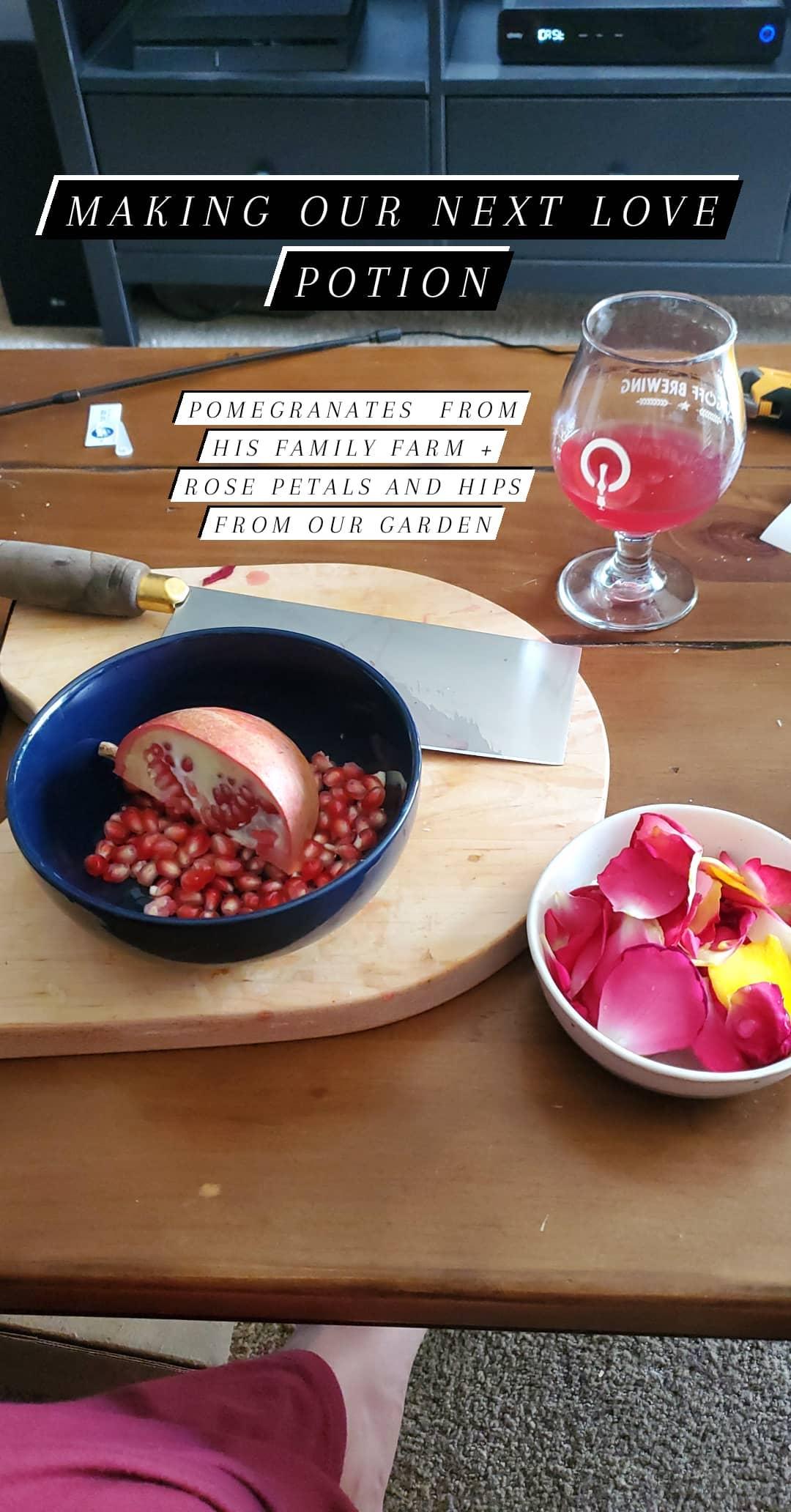 Pomegranate & Rose mead in progress | Scrolller
